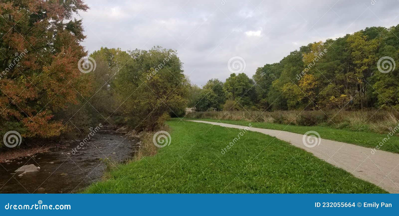 Lonely Fall Hike stock photo. Image of fall, tree, field - 232055664