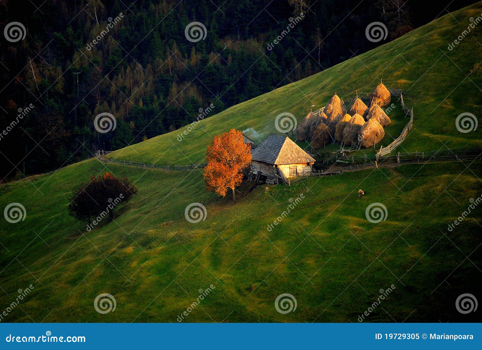 Lonely Farm in a Small Village in the Mountains Stock Image - Image of ...