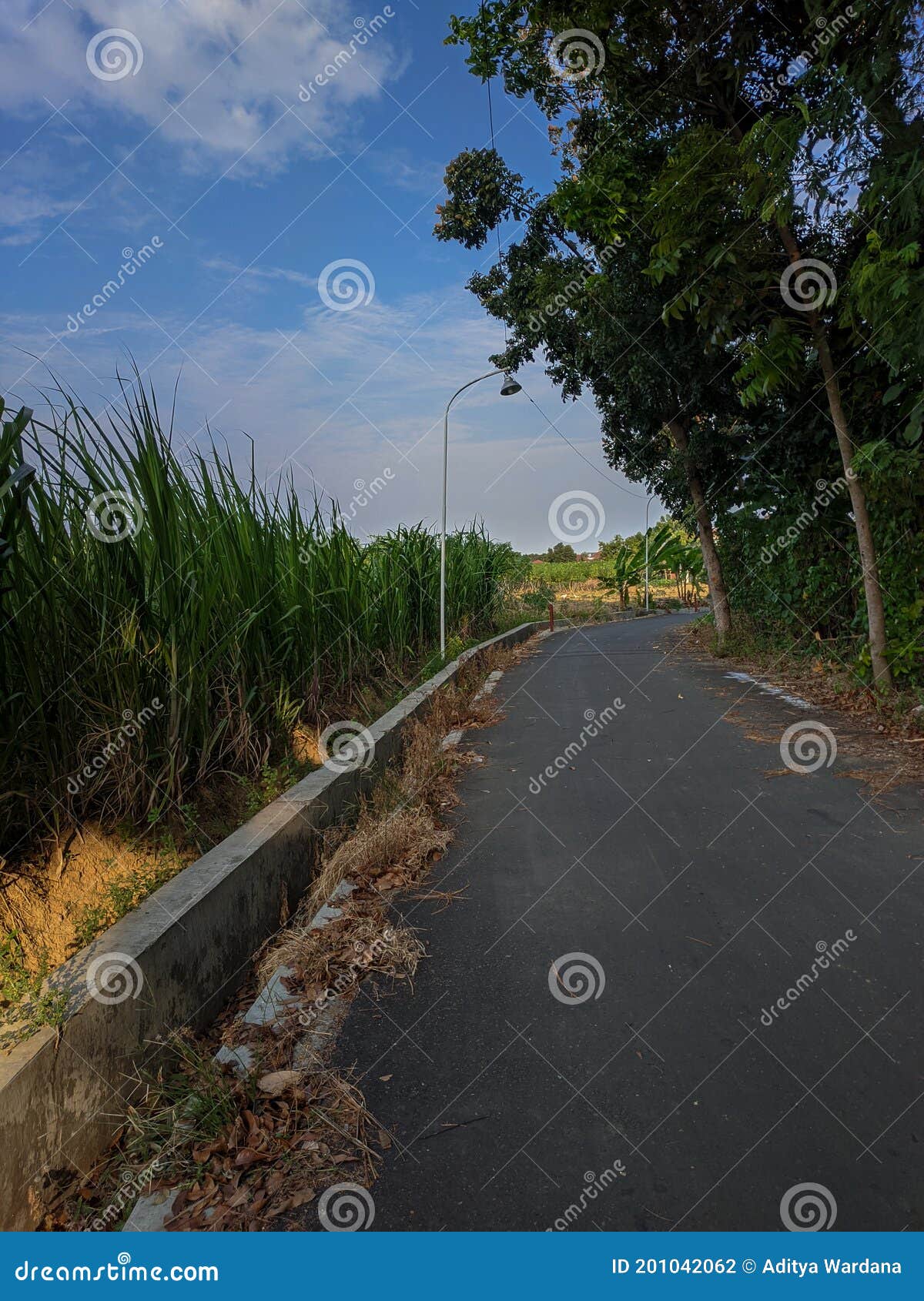 Great Fields with Great Sky Stock Photo - Image of waterway, leaf ...