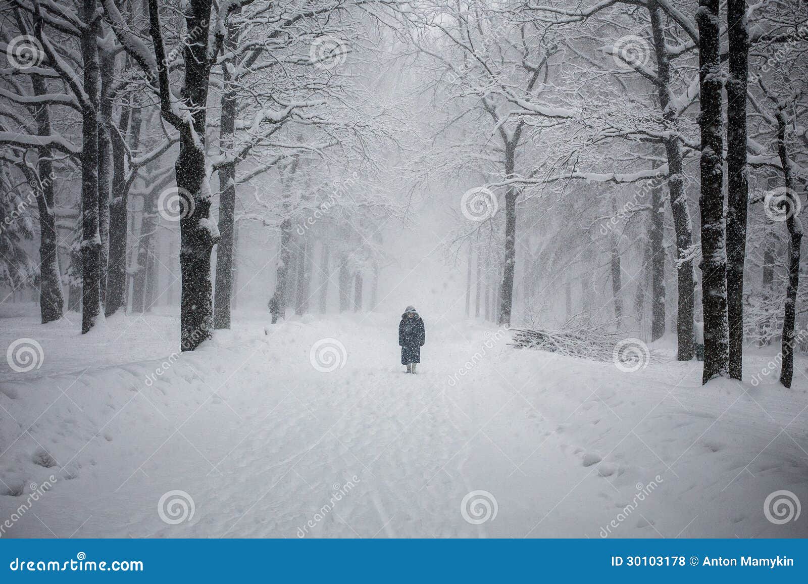 Lonely figure in the snow stock photo. Image of person - 30103178
