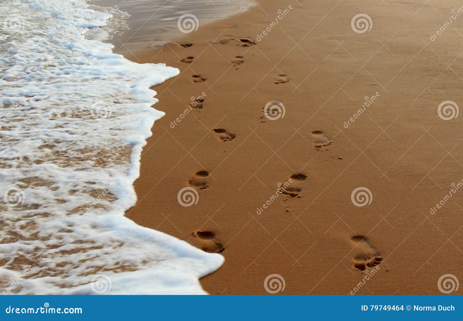 Lonely footsteps stock photo. Image of beach, sandy, footsteps - 79749464
