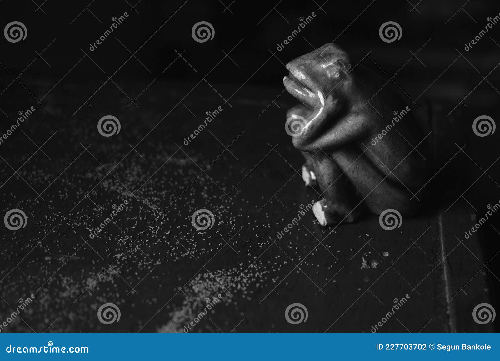 The lonely frog stock photo. Image of white, meditation - 227703702