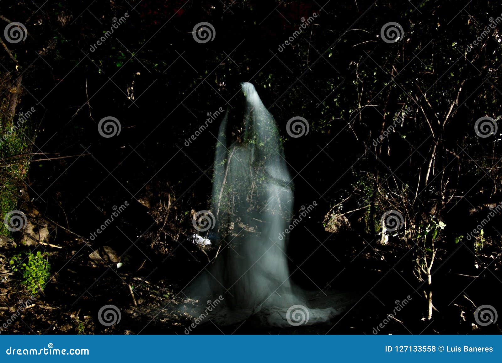 Lonely ghost in the forest stock photo. Image of dark - 127133558