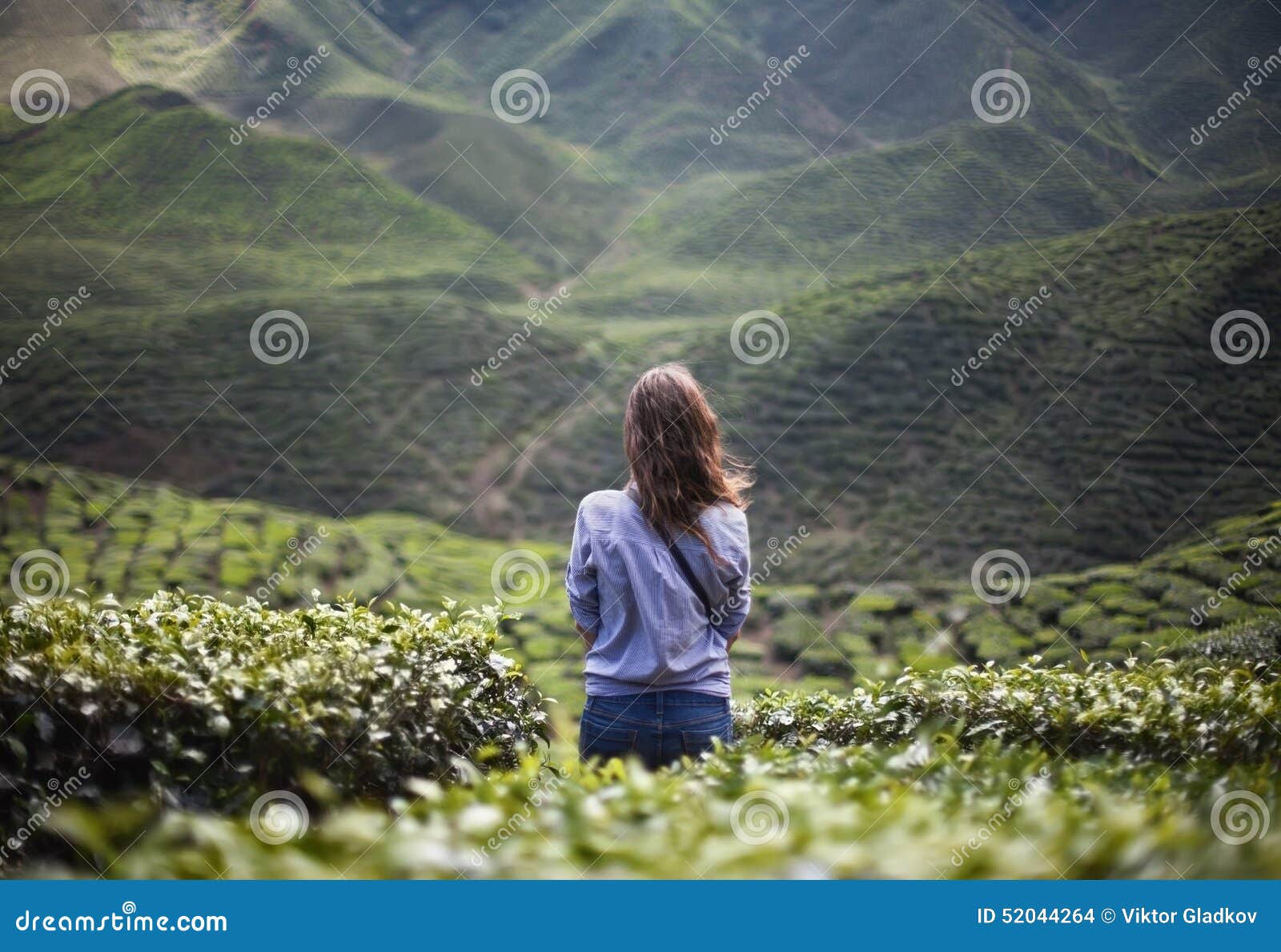 Lonely girl in mountains stock photo. Image of female - 52044264