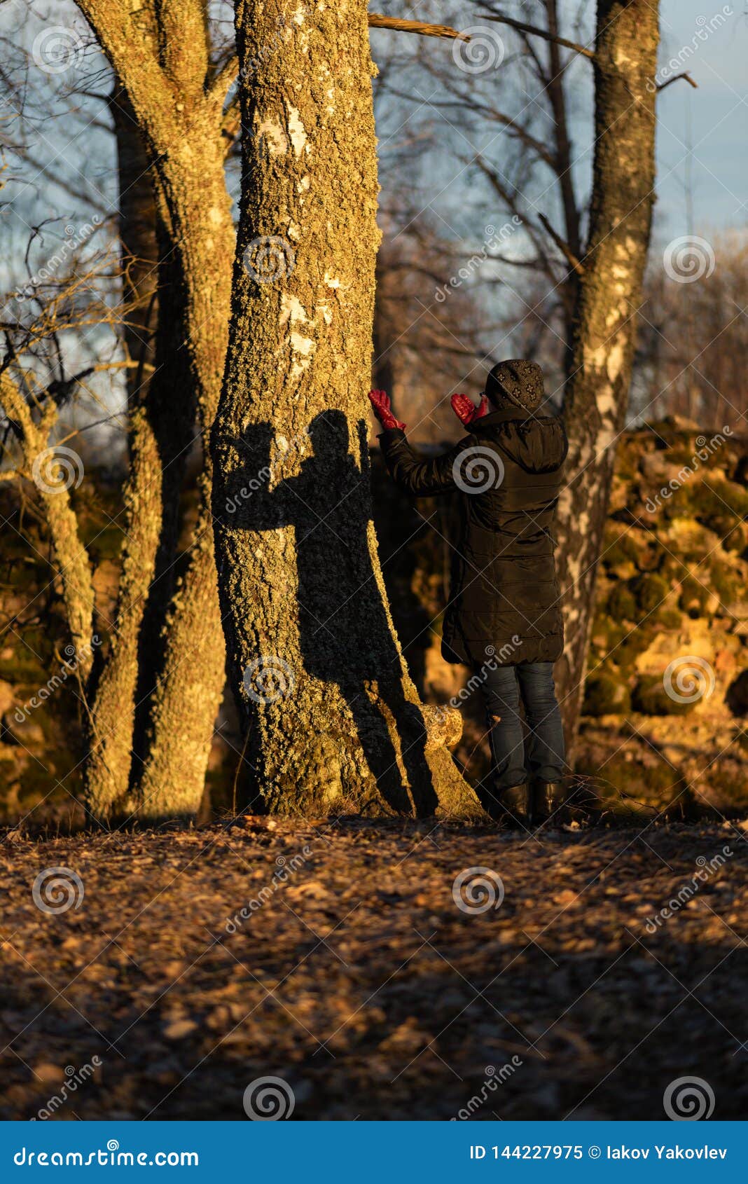Lonely Girl and Shadow on a Tree Stock Image - Image of black, child ...