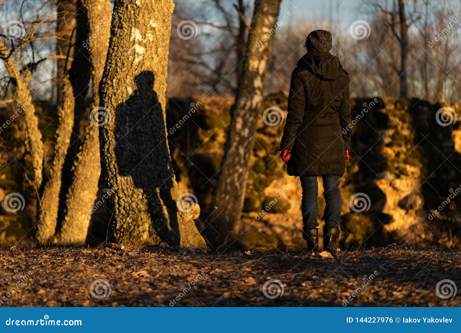 Lonely Girl and Shadow on a Tree Stock Photo - Image of light, freedom ...