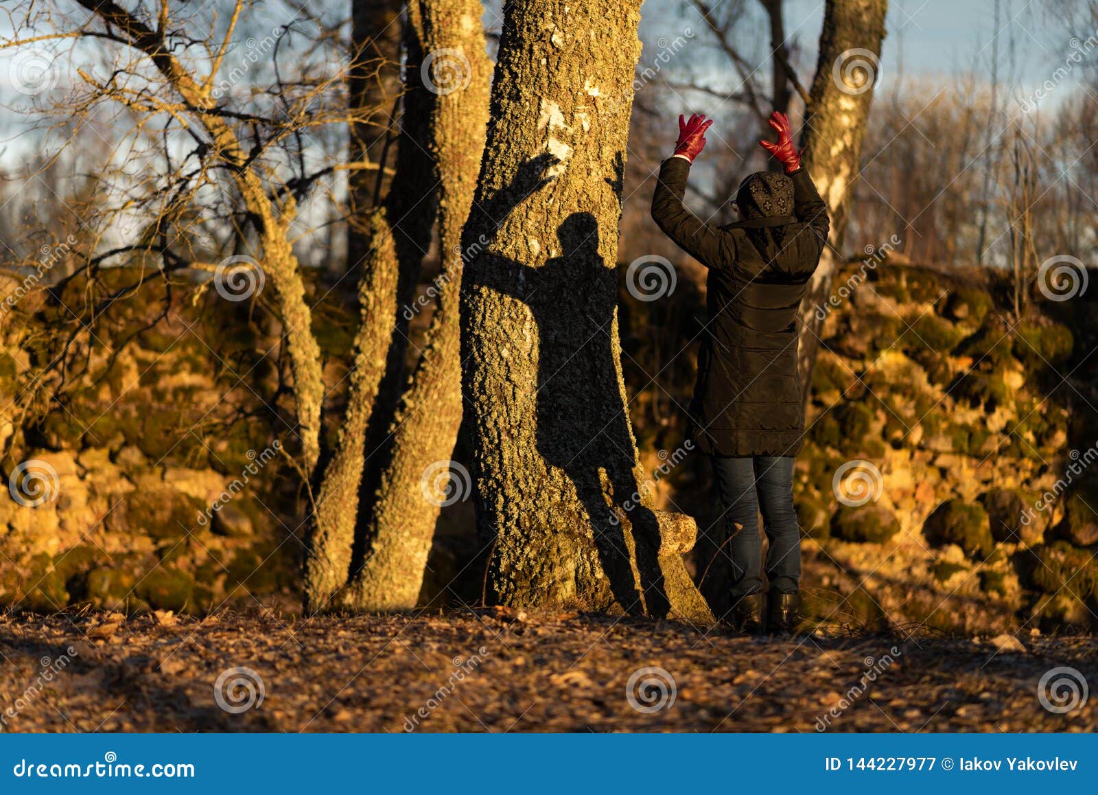 Lonely Girl and Shadow on a Tree Stock Image - Image of abstract, rock ...