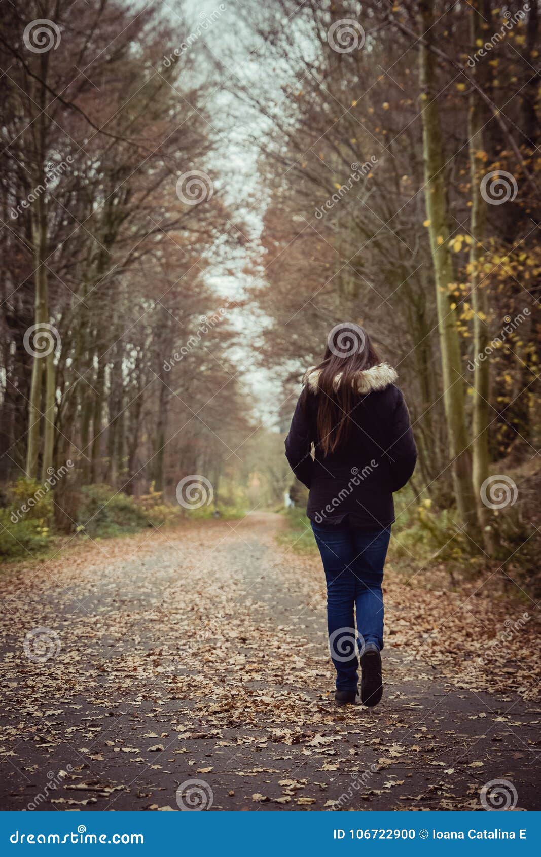 Lonely Girl Walking Down a Path in Fall Stock Photo - Image of fall ...
