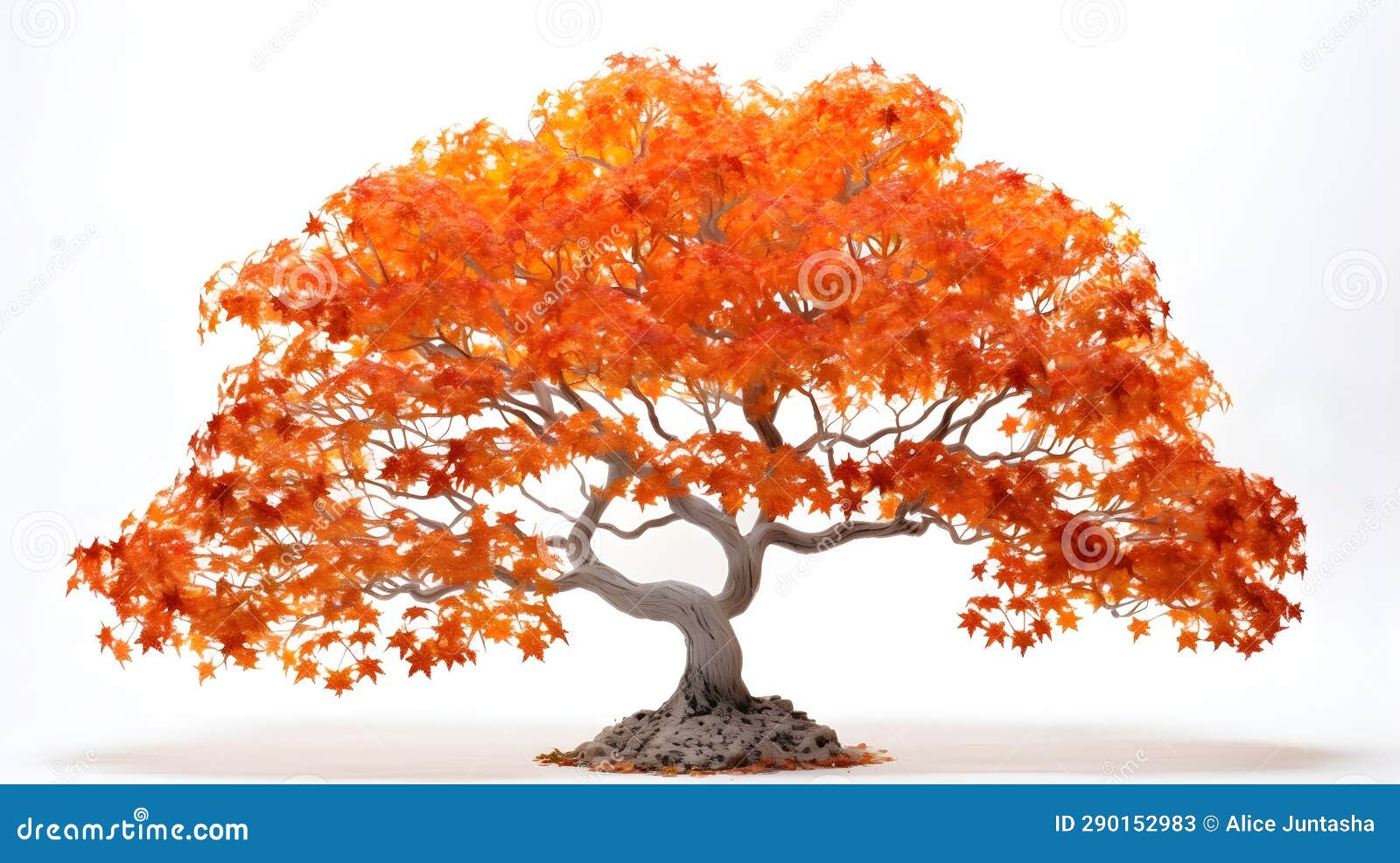 A golden maple tree stock image. Image of tree, seasonal - 290152983
