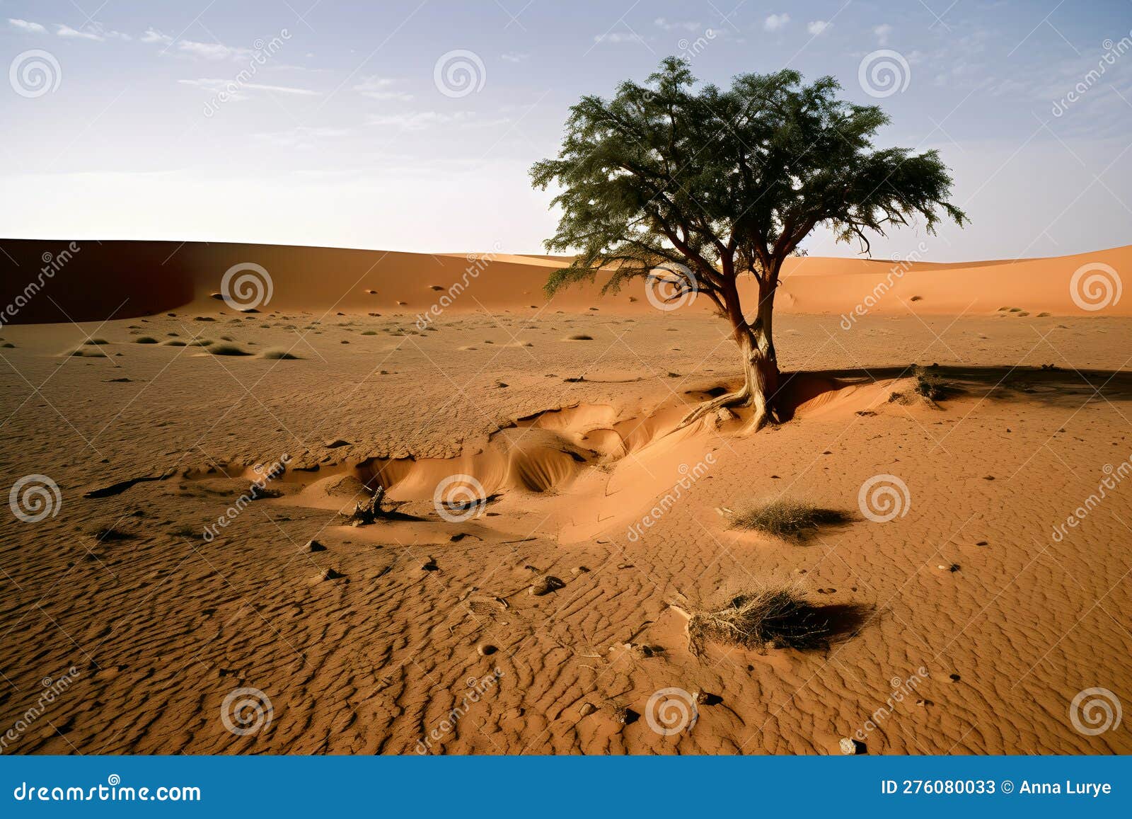 Desertification Process As Climate Change To Hot And Dry Soil Outline ...