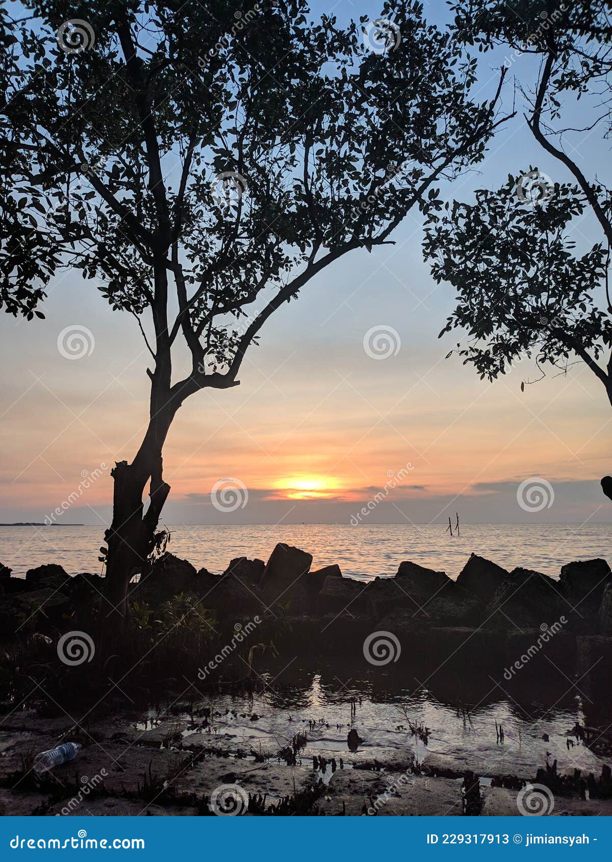 Lonely but happy Sunset stock image. Image of lonely - 229317913