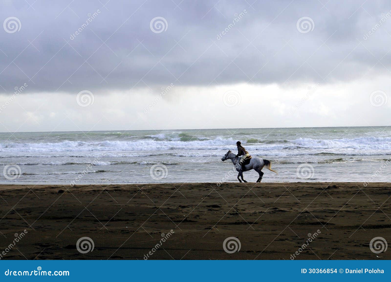 Lonely Horse Rider on a Beach Stock Photo - Image of evening, cloud ...