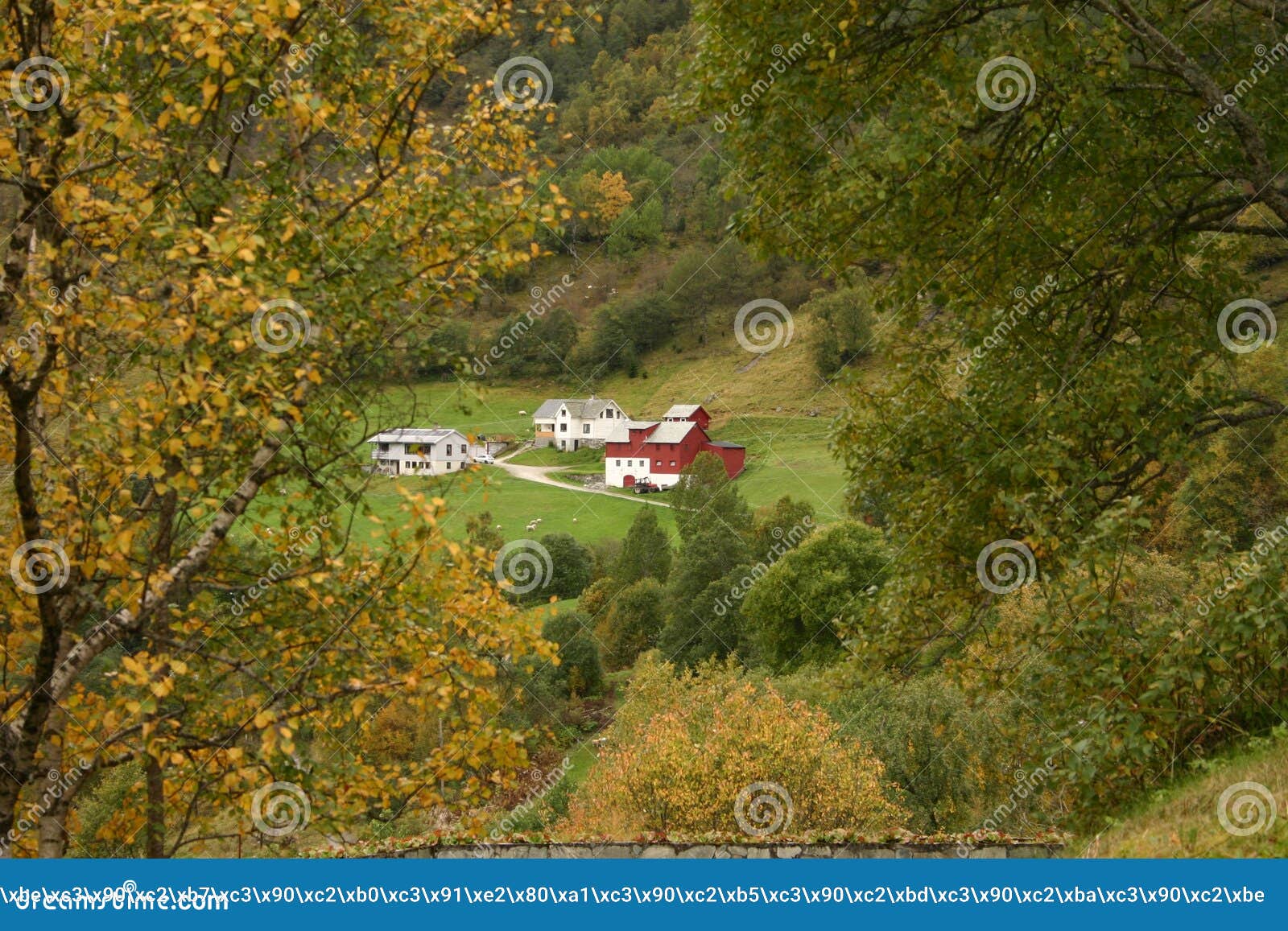 Lonely House In The Forest Stock Image | CartoonDealer.com #205984861