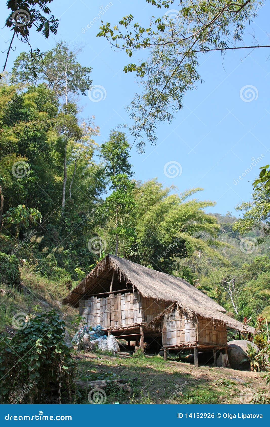 Lonely hut stock photo. Image of residential, nature - 14152926