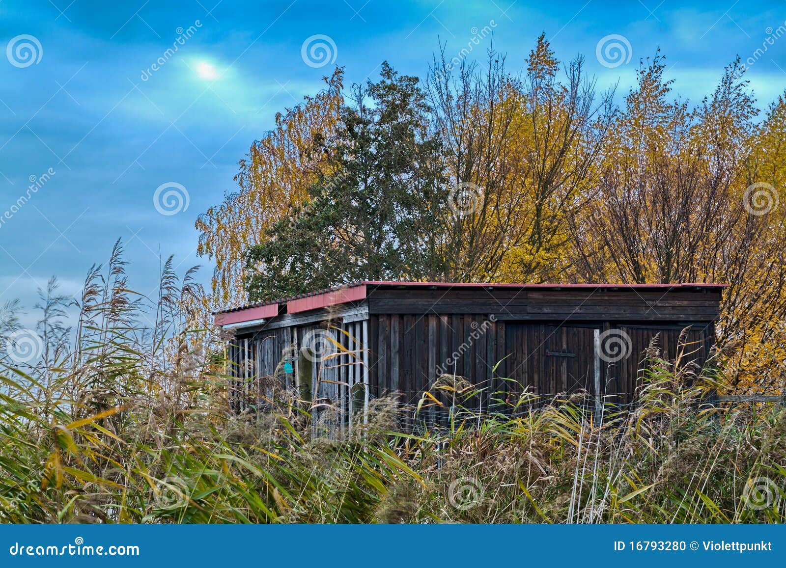 A lonely Hut stock photo. Image of deserted, shelter - 16793280