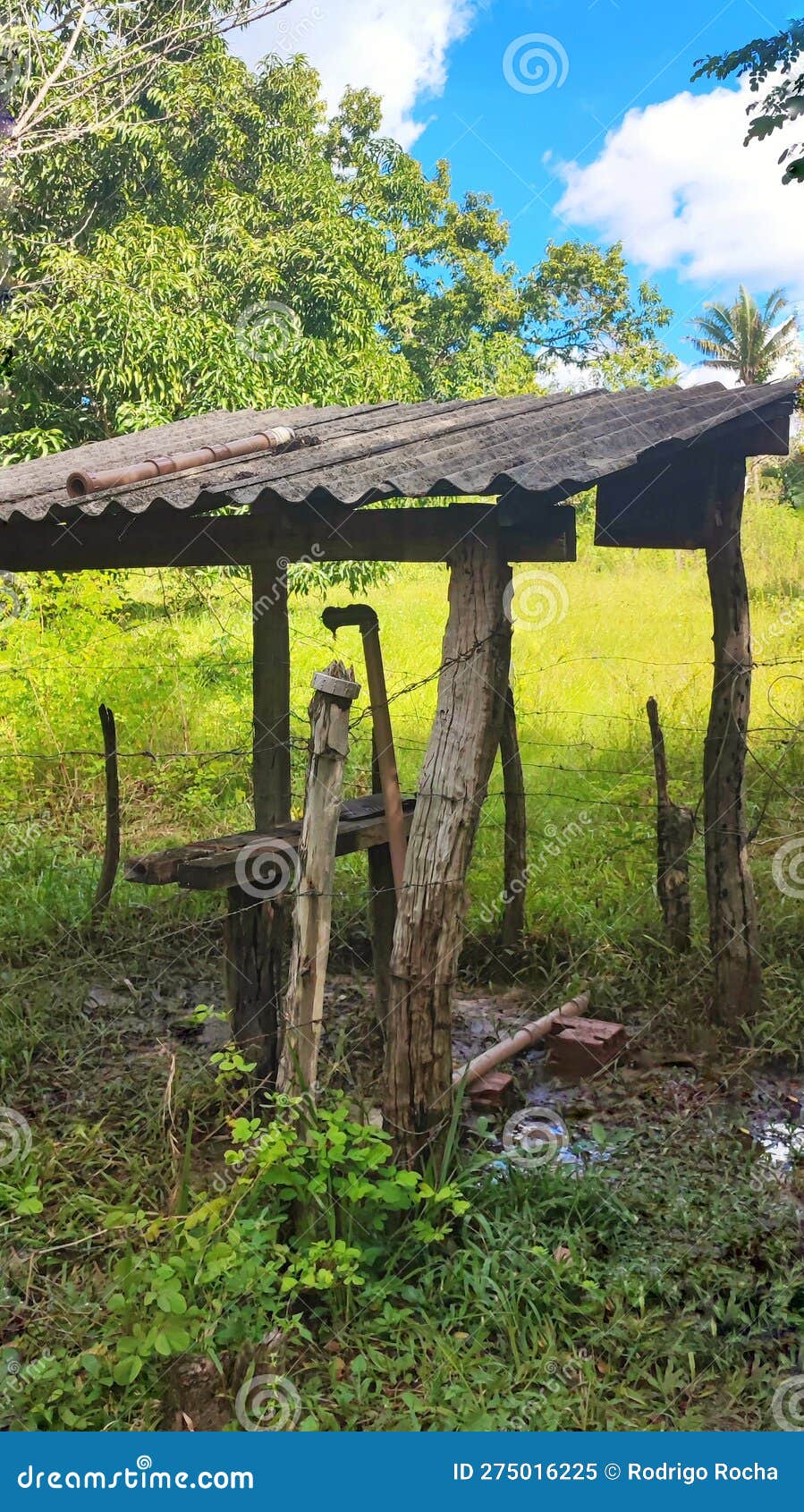 Lonely Hut, Abandoned in a Forest. Still with Some Equipment, but Quite ...