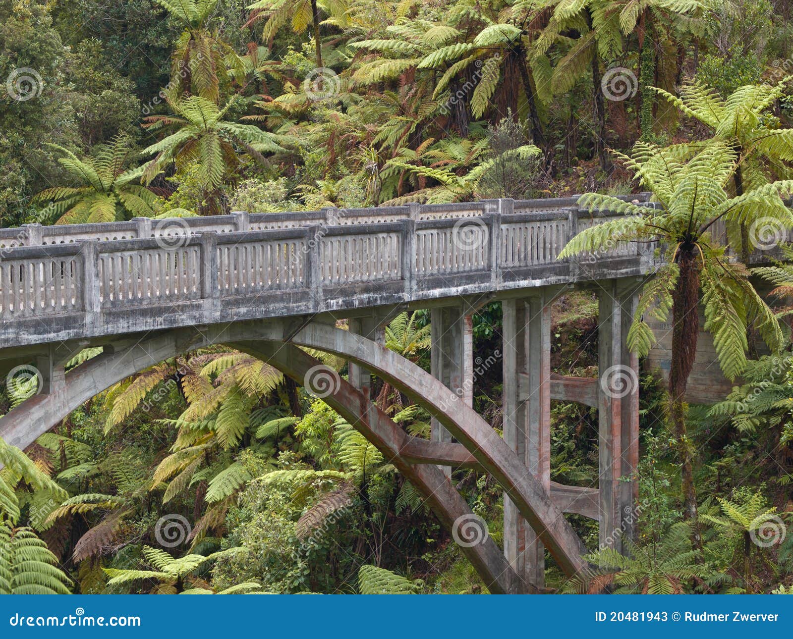 Lonely jungle bridge stock image. Image of link, national - 20481943