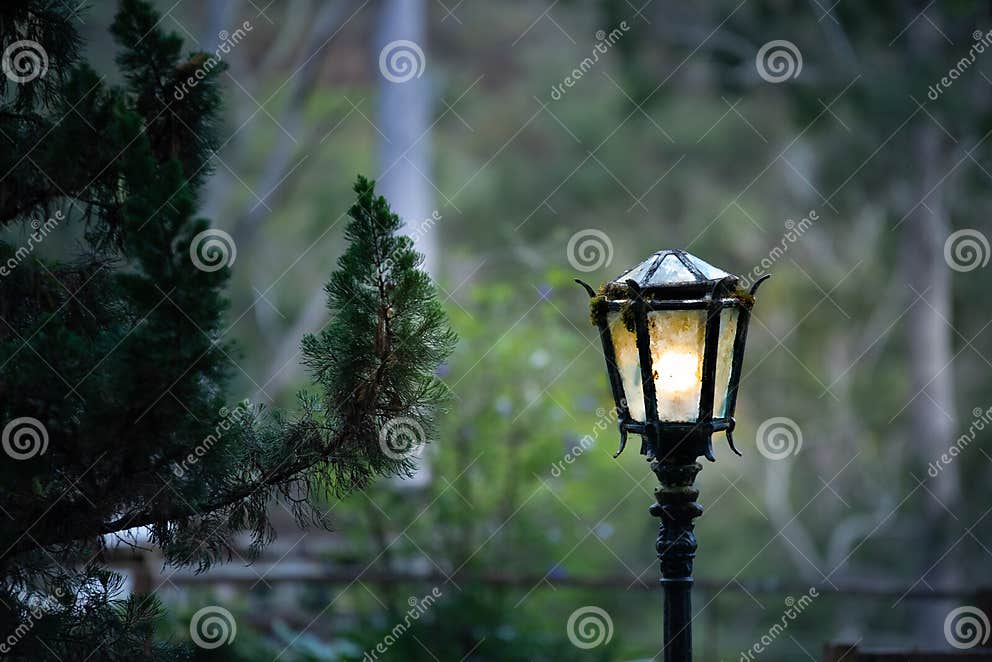 Lonely Lamp Post Stand among the Trees Stock Photo - Image of plant ...
