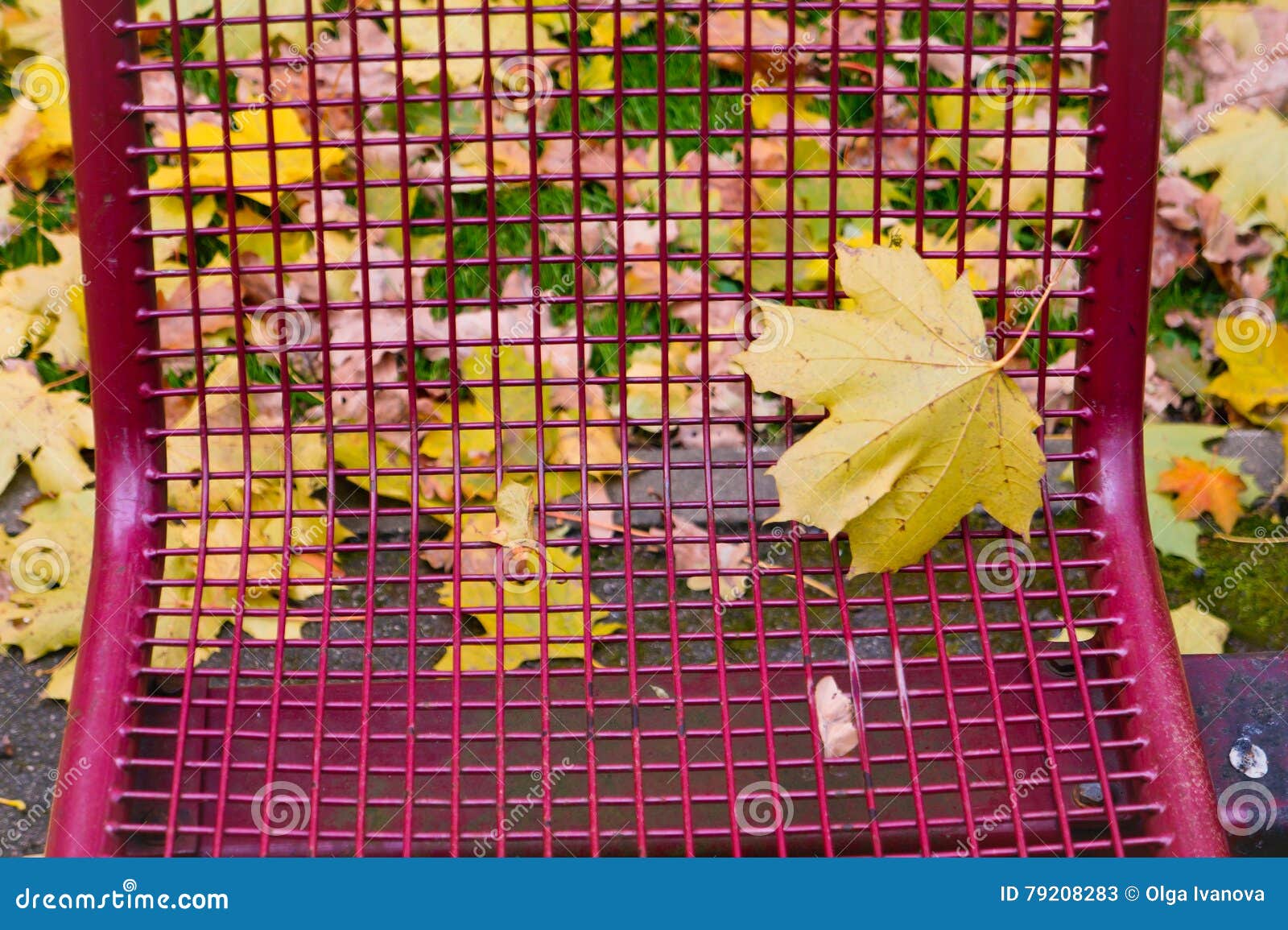Lonely leaf on a bench stock image. Image of lonely, beautiful - 79208283