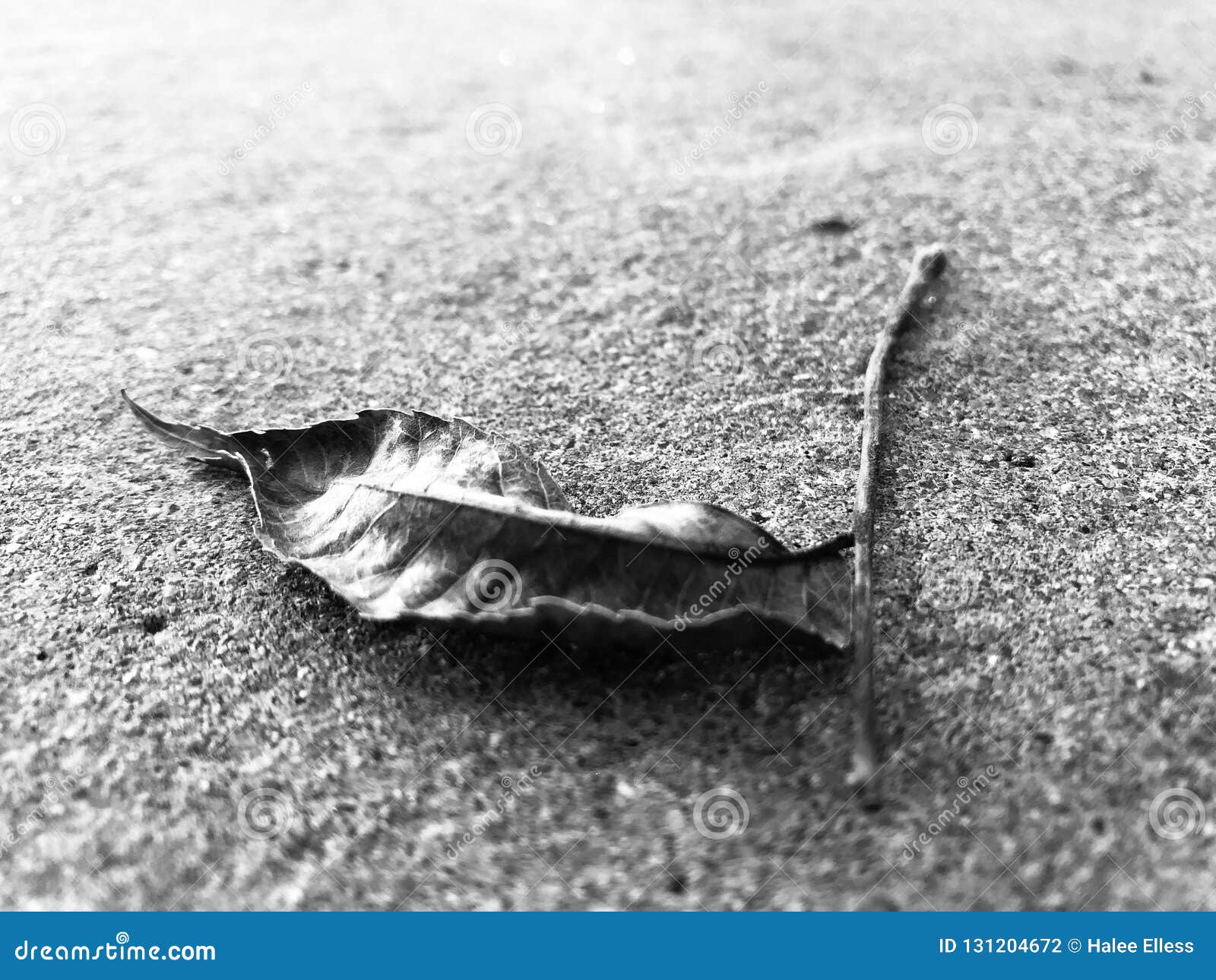 Sad leaf stock photo. Image of character, leave, black - 131204672