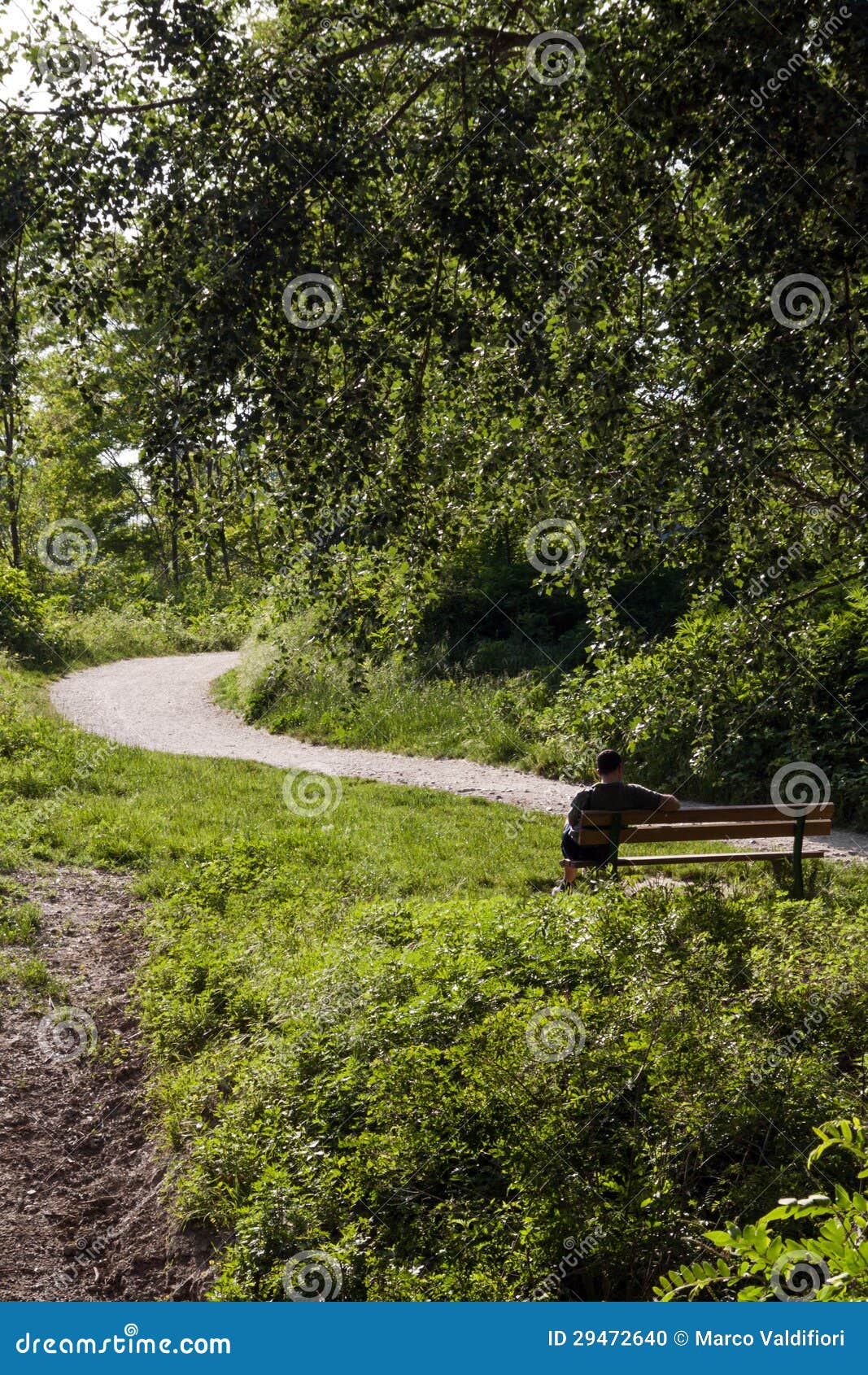 A lonely man stock photo. Image of path, sitting, bench - 29472640