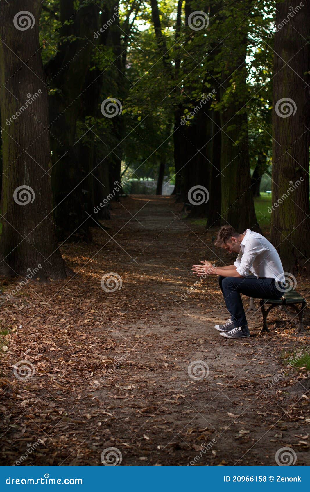 Lonely man in the park stock photo. Image of people, adult - 20966158