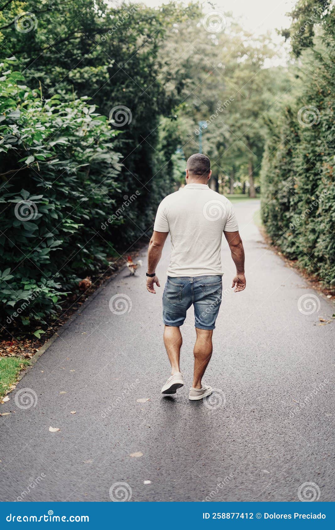 Lonely Man Passing Time in a Park Stock Photo - Image of snapshot ...