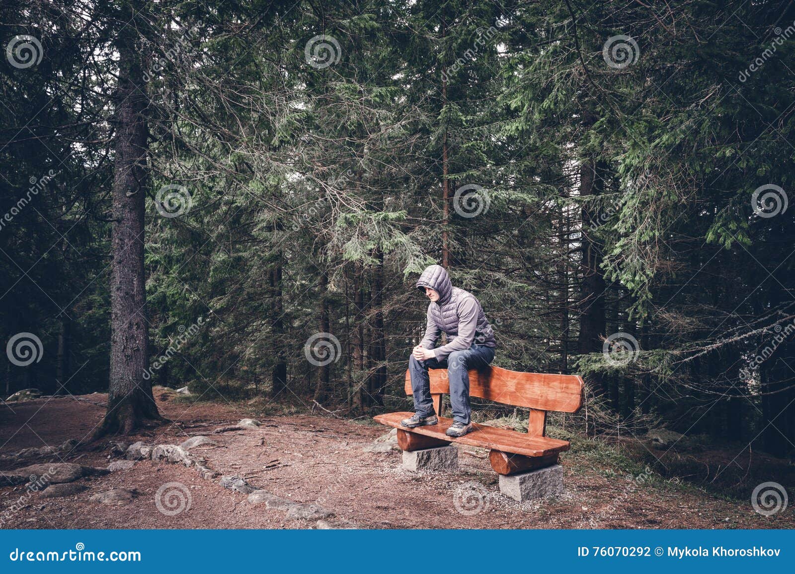 Lonely Man Sitting on Bench Stock Photo - Image of tourist, tree: 76070292