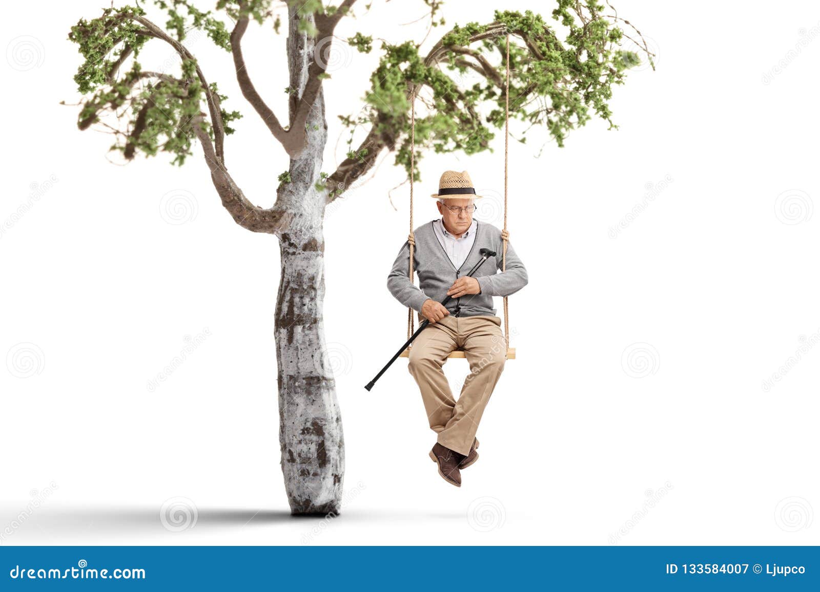 Lonely Mature Man on a Swing Hanging from a Tree Branch Stock Image ...