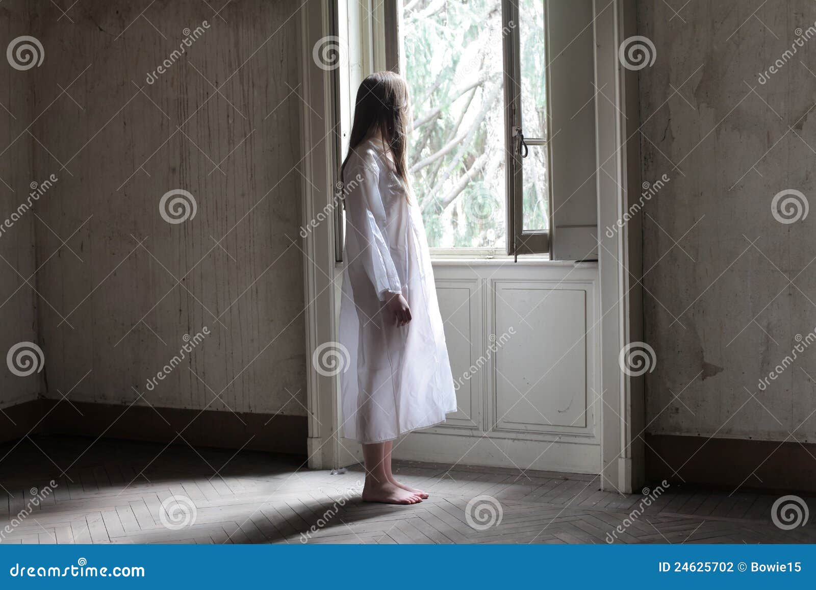 Lonely morning stock photo. Image of tree, plant, empty - 24625702