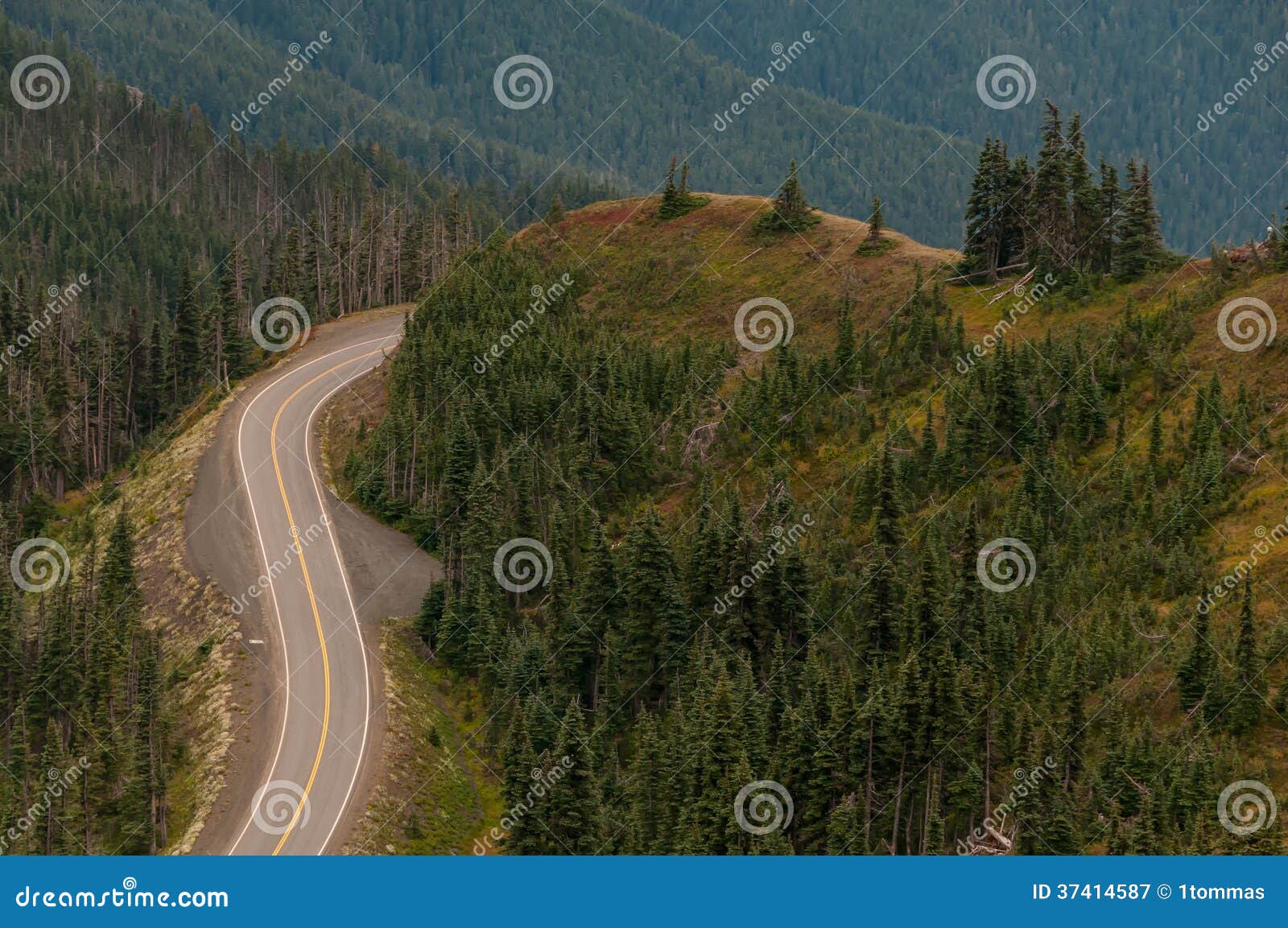 Lonely mountain curvy road stock image. Image of journey - 37414587