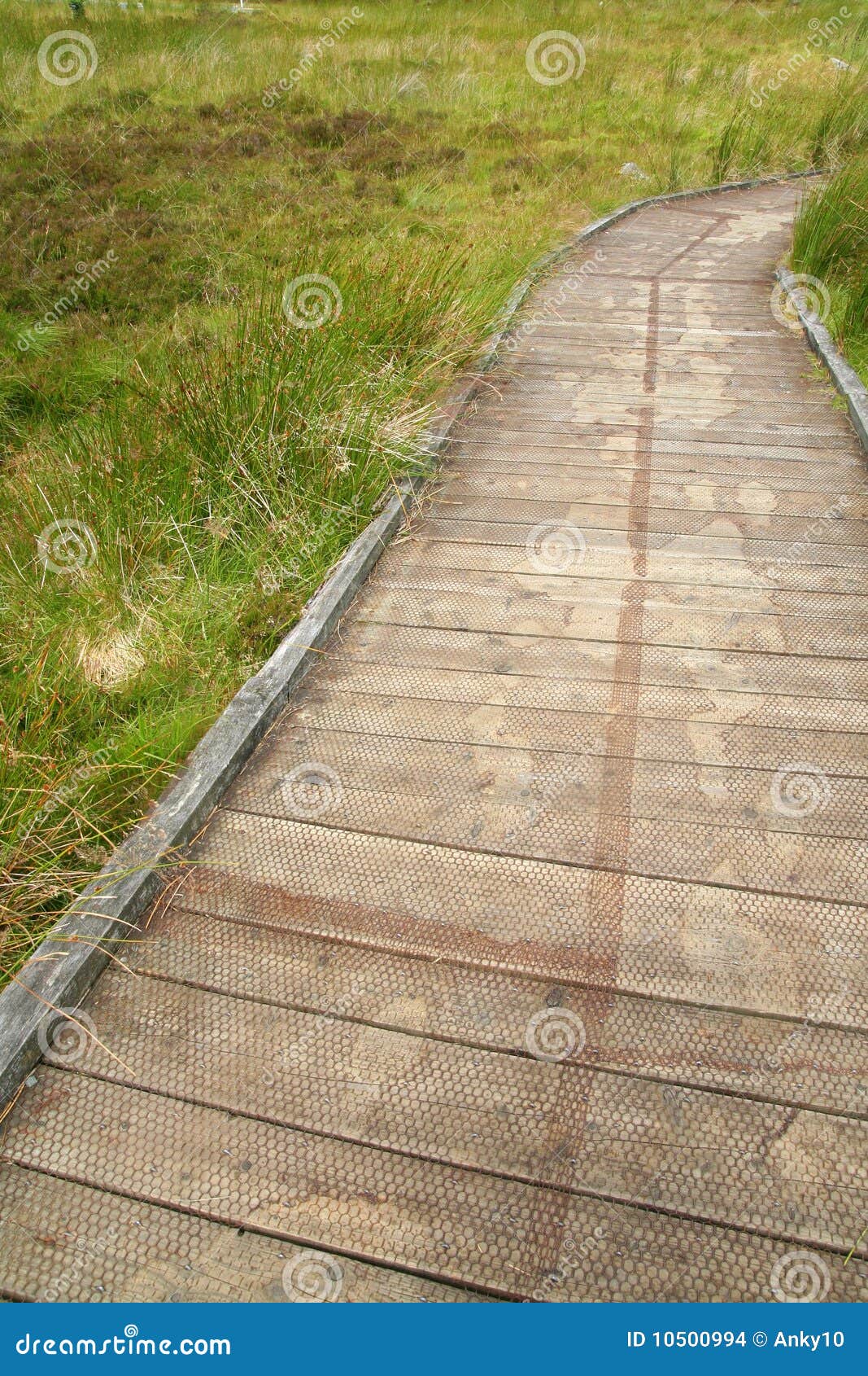 Lonely Mountain Path stock photo. Image of peaceful, plant - 10500994
