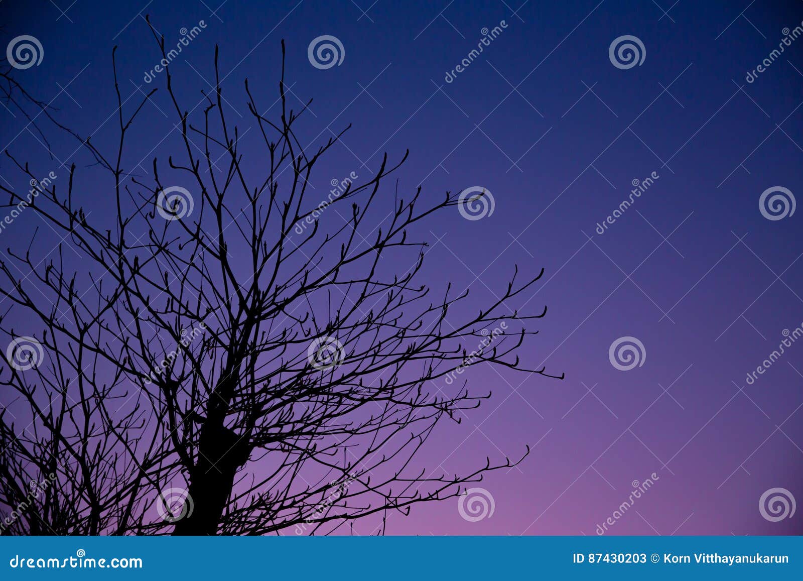Lonely Night, Summer Fall Season Beautiful Dusk Sky. Stock Image ...