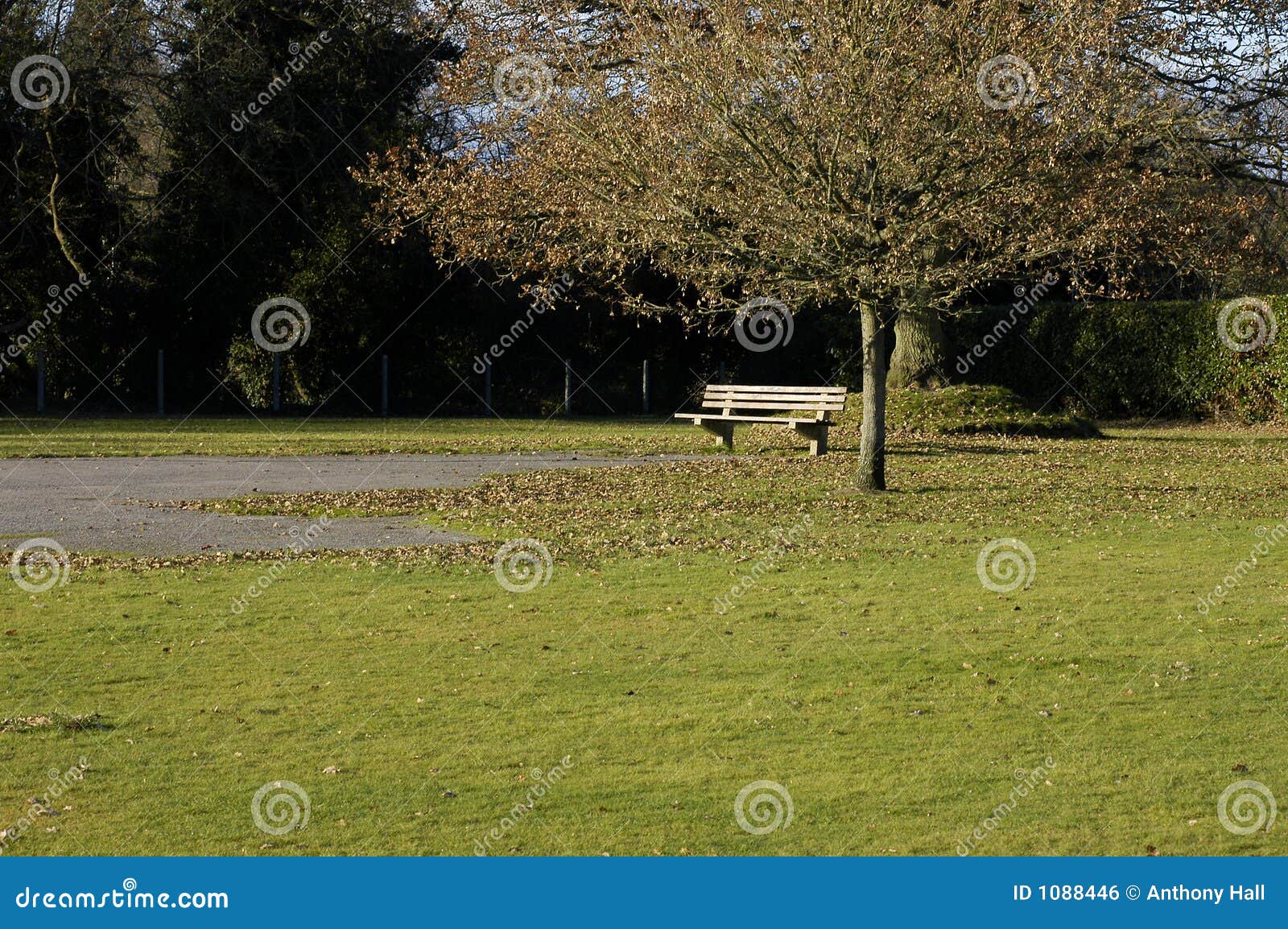 Lonely November Bench Picture. Image: 1088446