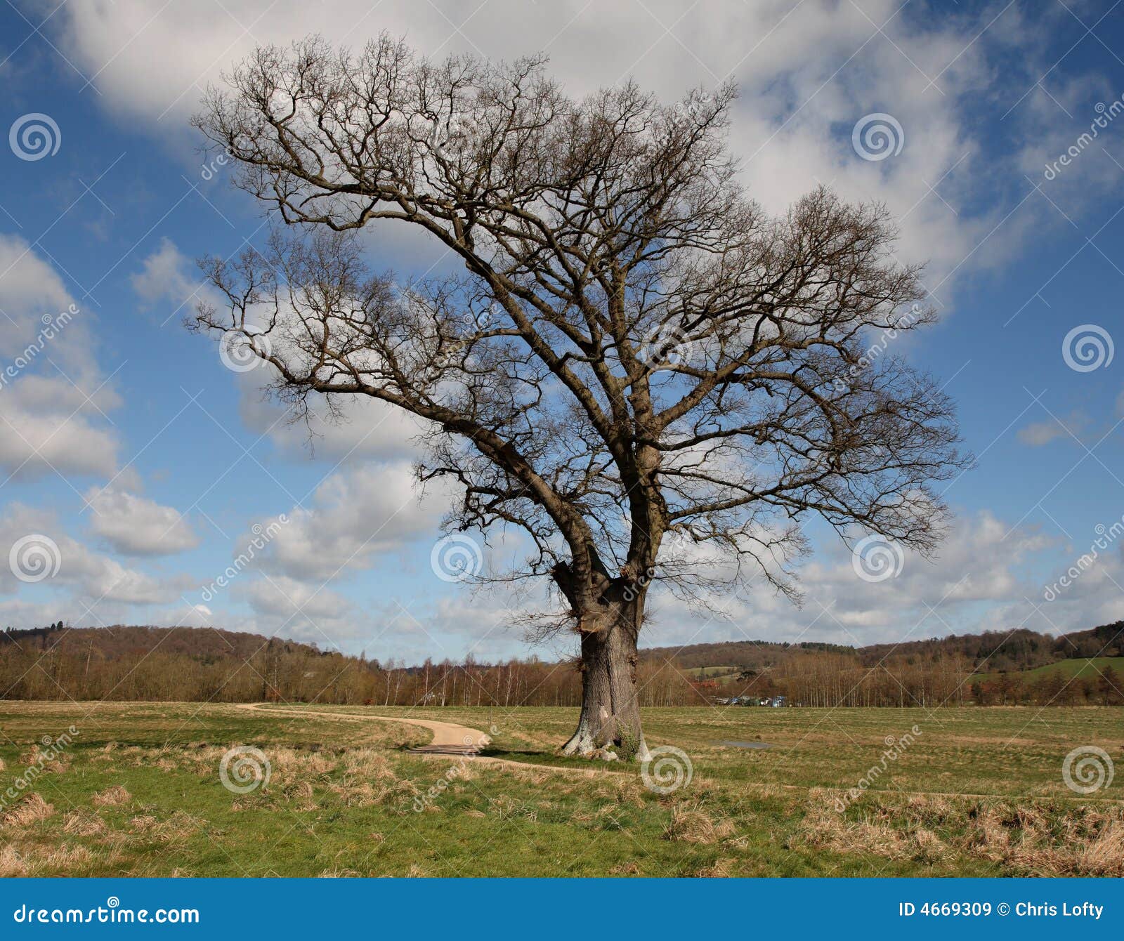 Meandering Path In A Park Royalty-Free Stock Photography ...