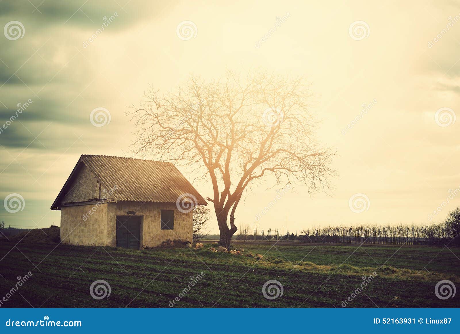 Lonely old house stock image. Image of green, cabin, bales - 52163931
