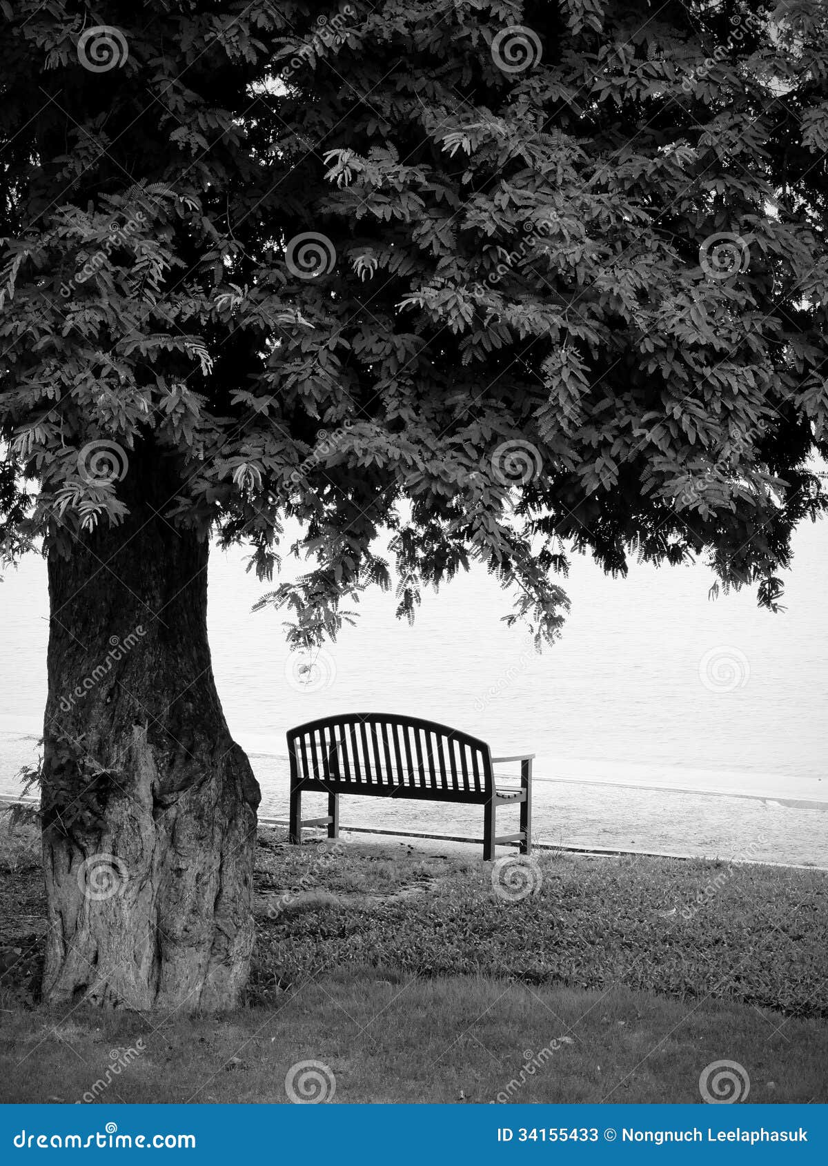 Lonely Park Bench in Black and White Stock Image - Image of black, seat ...