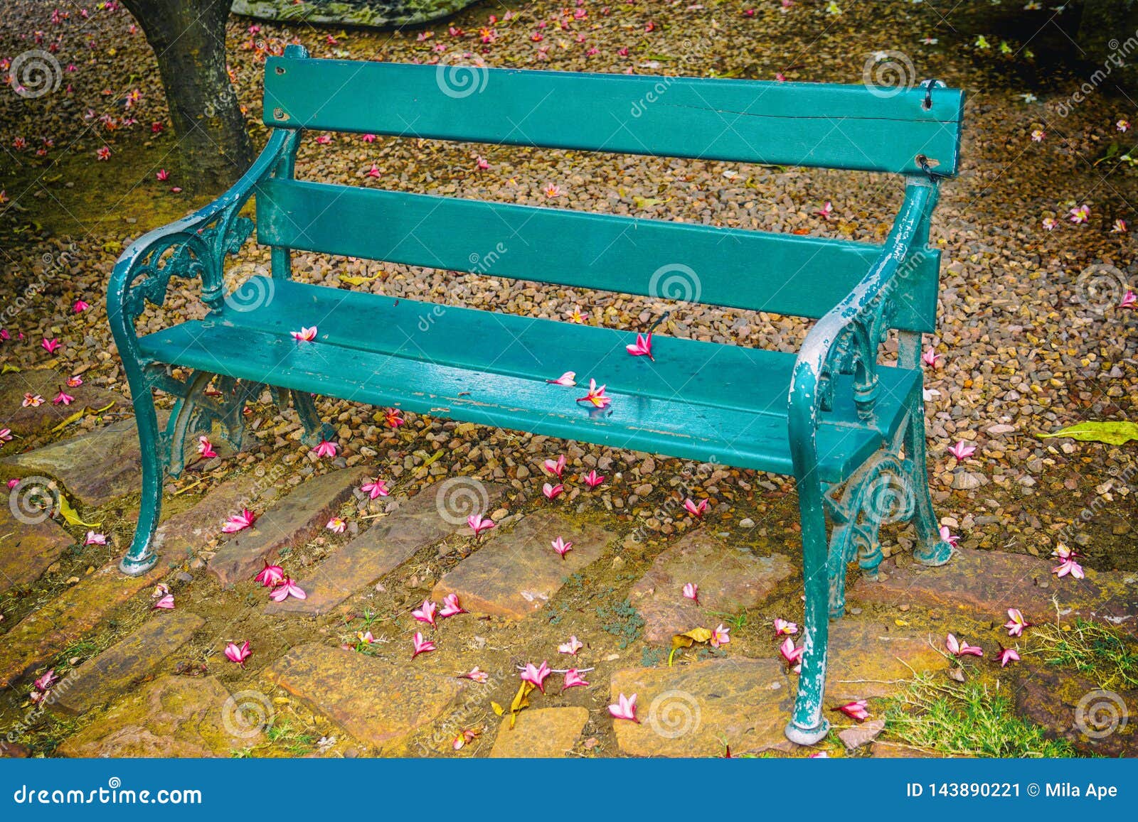 Lonely park bench stock image. Image of loneliness, lonely - 143890221