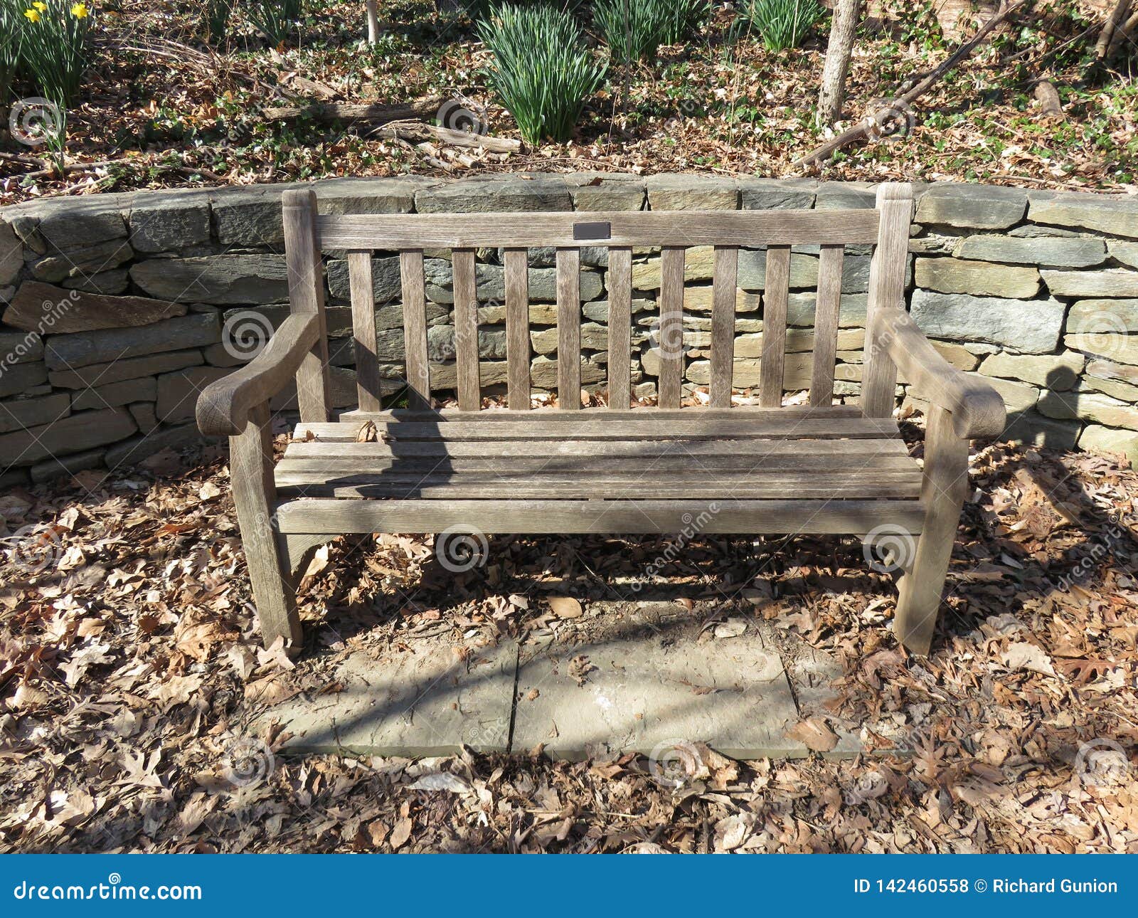Lonely Park Bench in Winter Stock Photo - Image of outdoors, stone ...