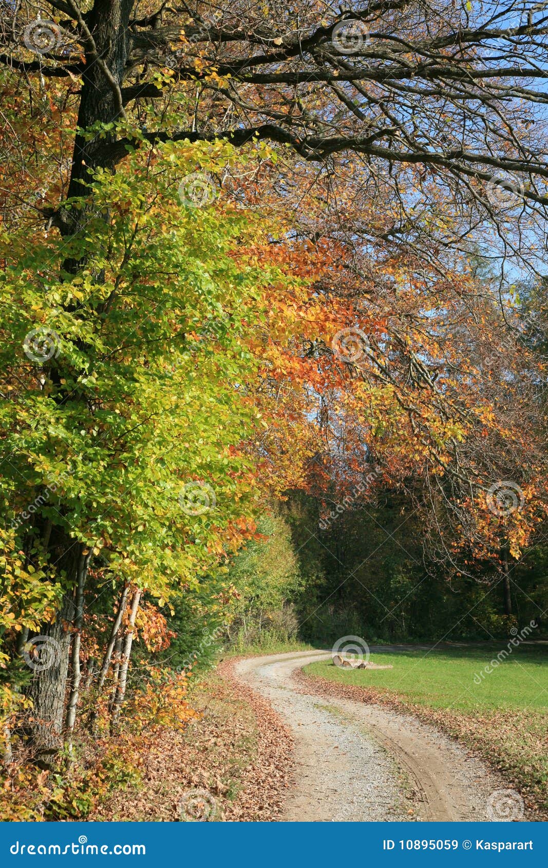 Lonely path in autumn stock image. Image of green, blue - 10895059