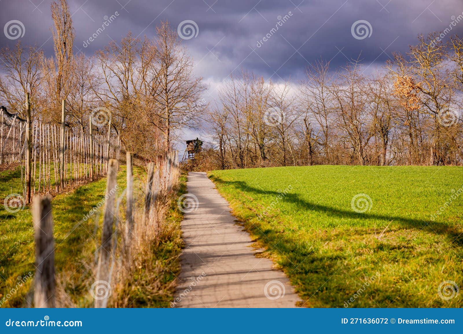 A Lonely Path by a Field with Meadow and Trees with Dramatic Colors ...