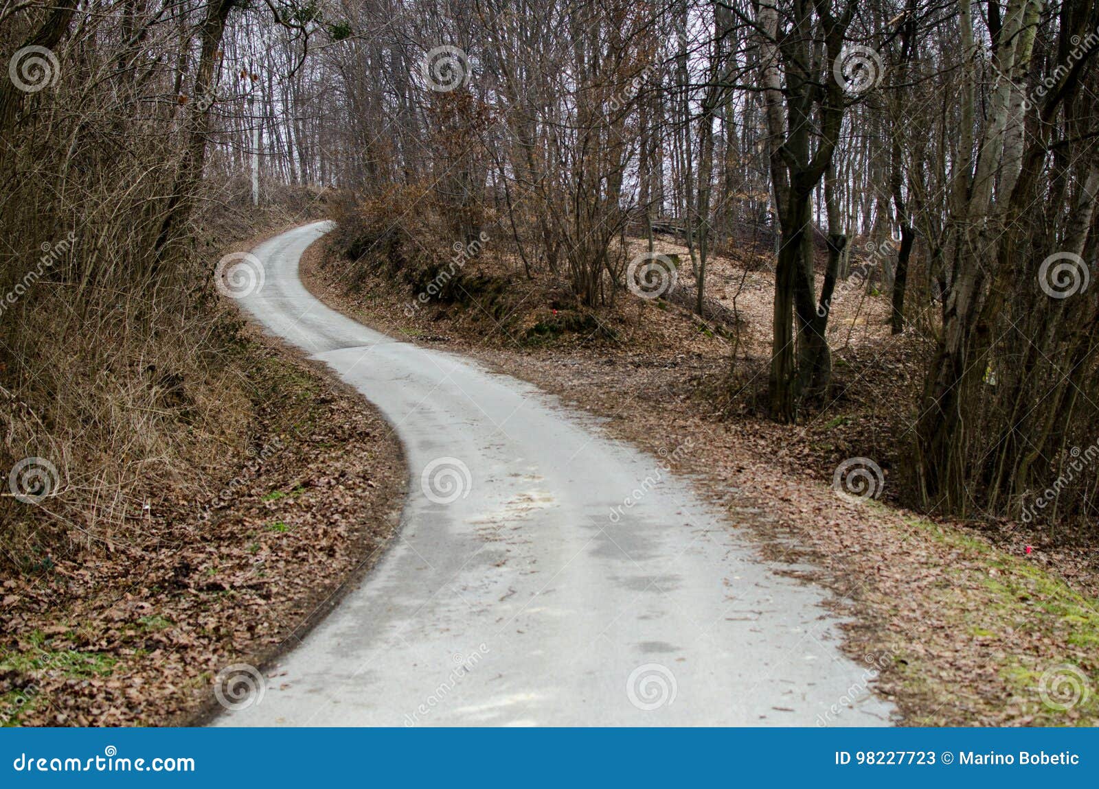 Lonely path stock image. Image of lonely, success, forward - 98227723
