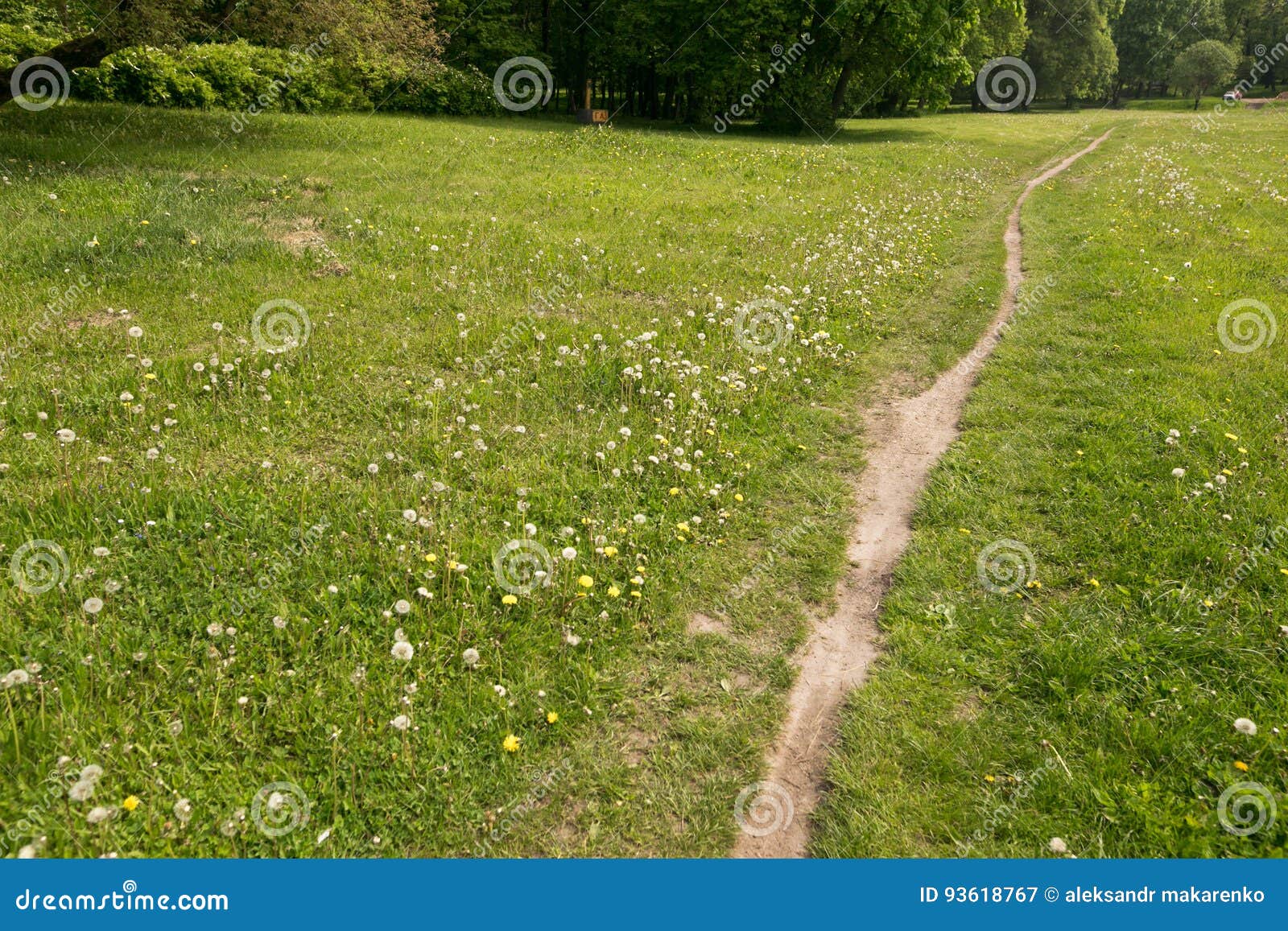 Lonely Path on a Green Meadow with Dandelions Stock Image - Image of ...