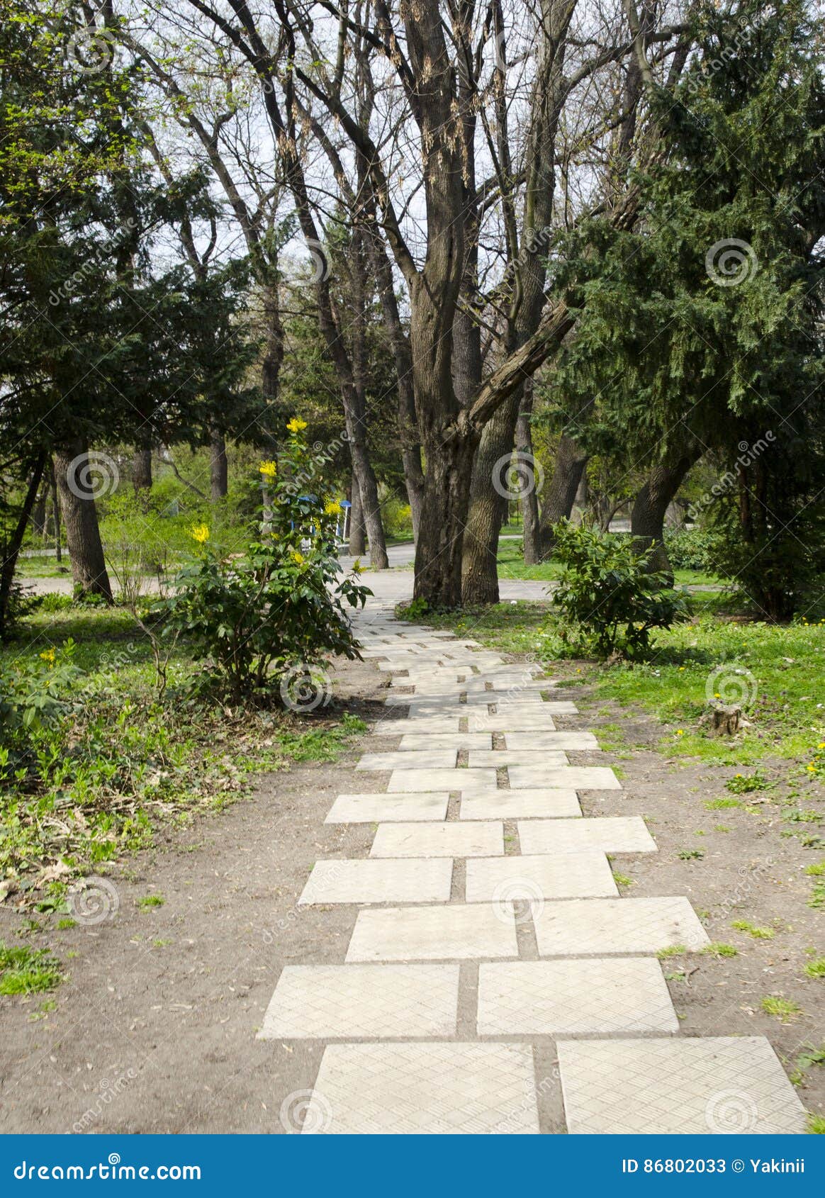 Lonely path stock image. Image of flower, passage, landscape - 86802033