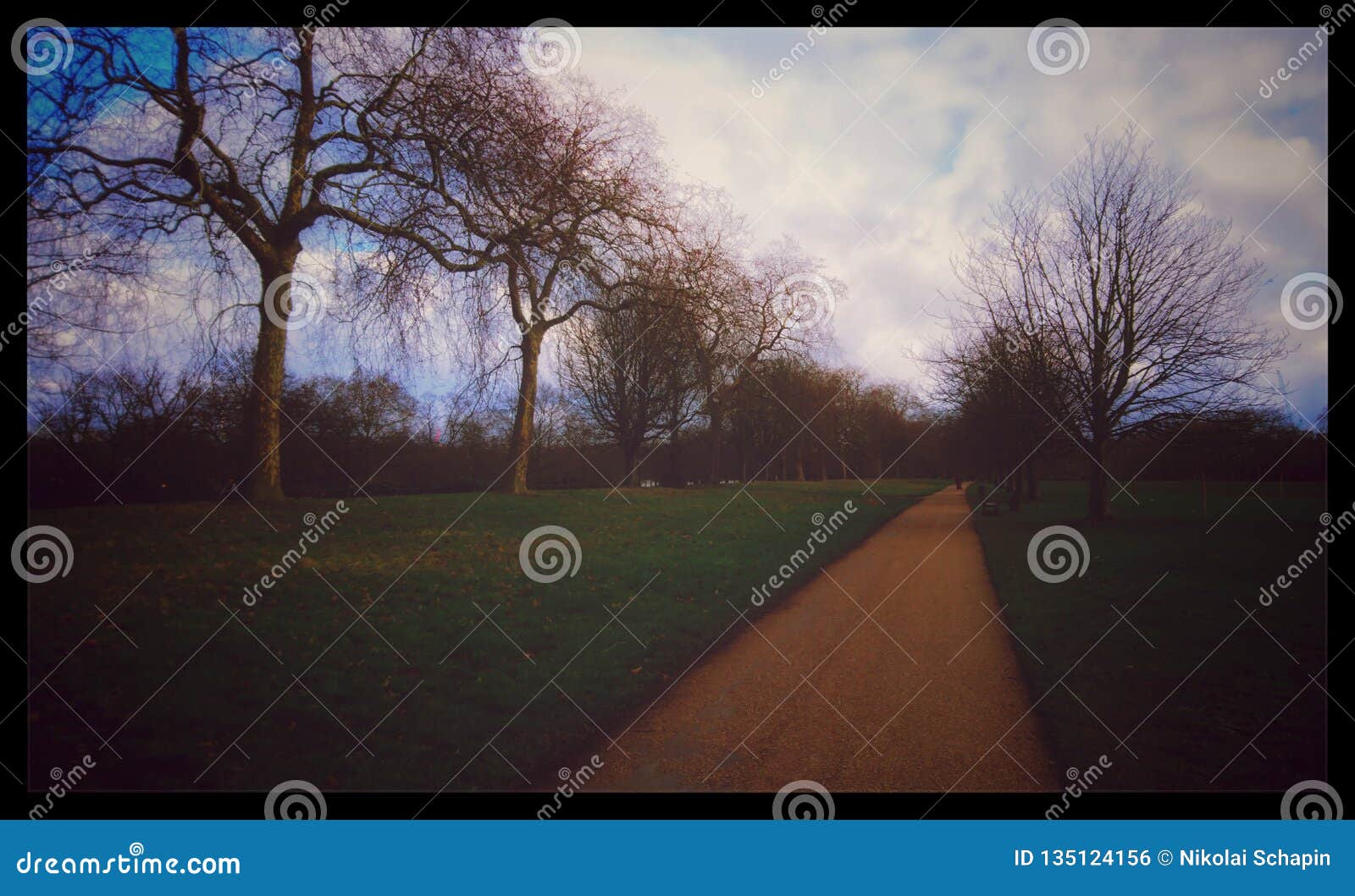 The Lonely Path Stock Image | CartoonDealer.com #118982899