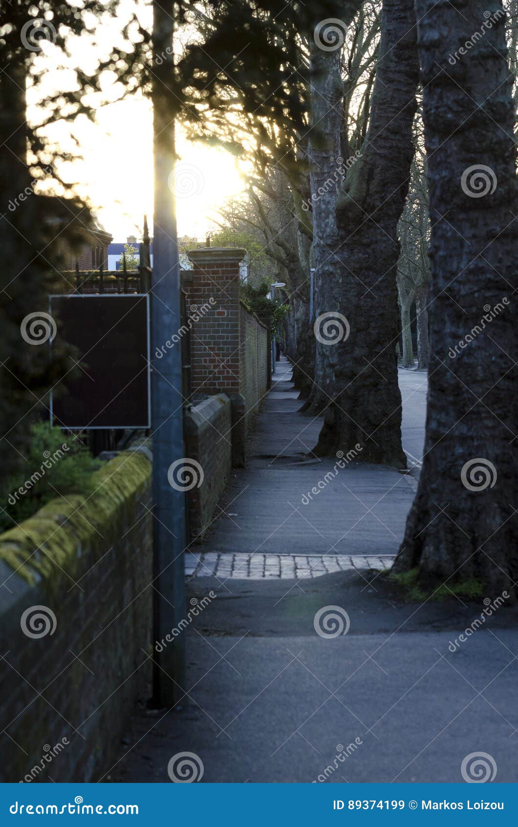 Lonely Path stock image. Image of series, path, sunset - 89374199