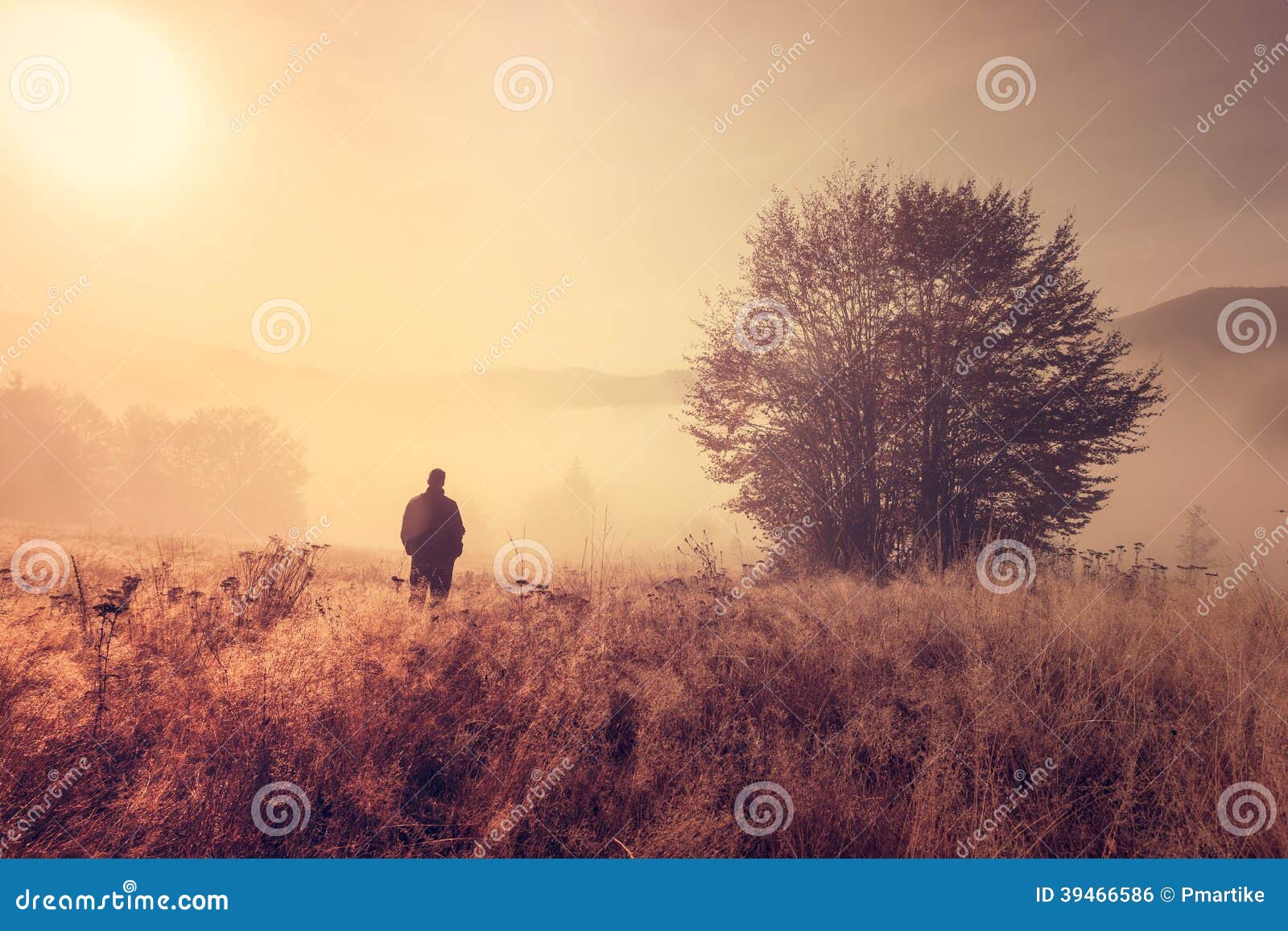 Lonely Person in the Morning Mist. Stock Photo - Image of mountain ...