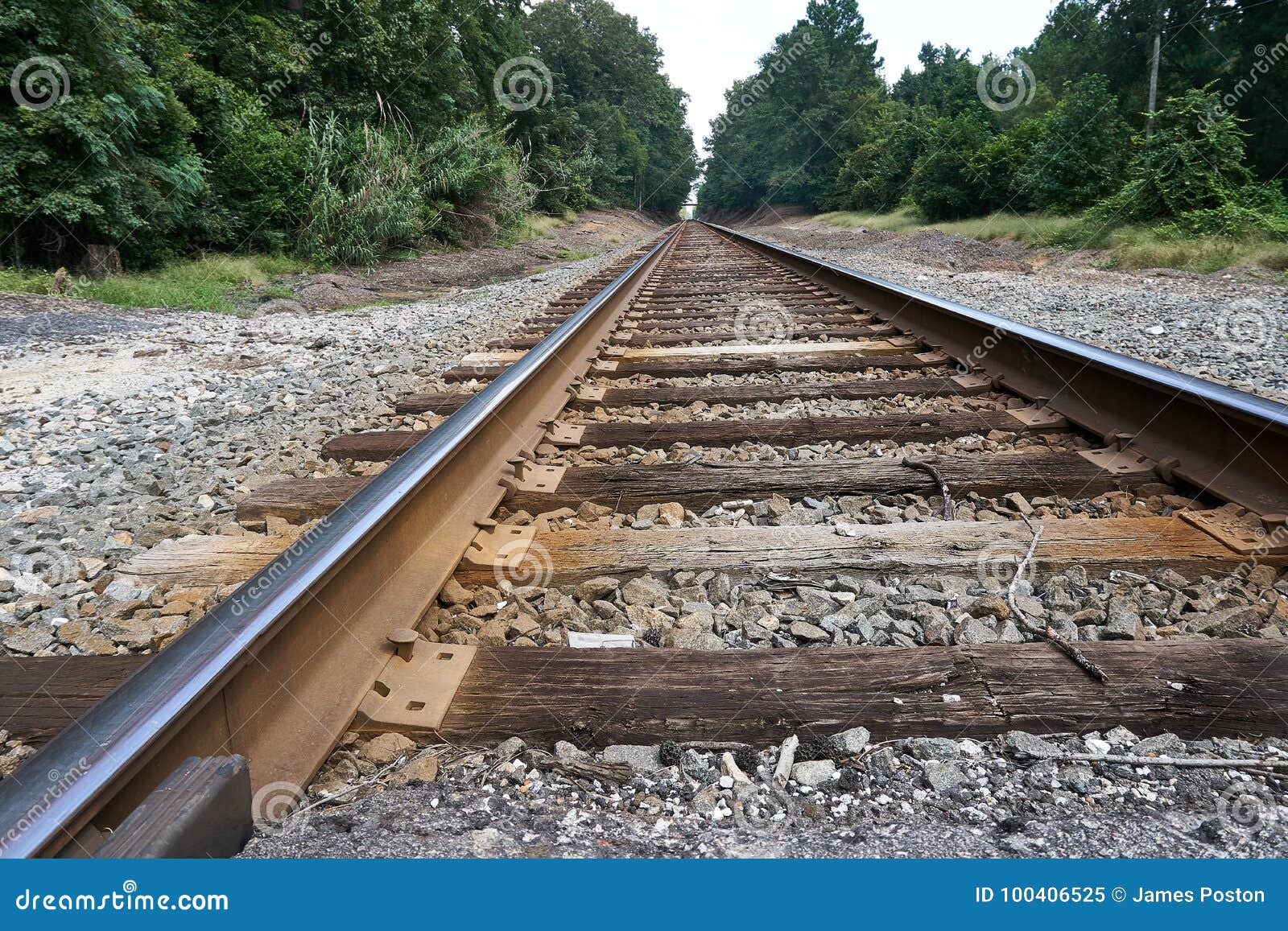 Lonely Railroad Tracks in the Middle of Nowhere Stock Image - Image of ...