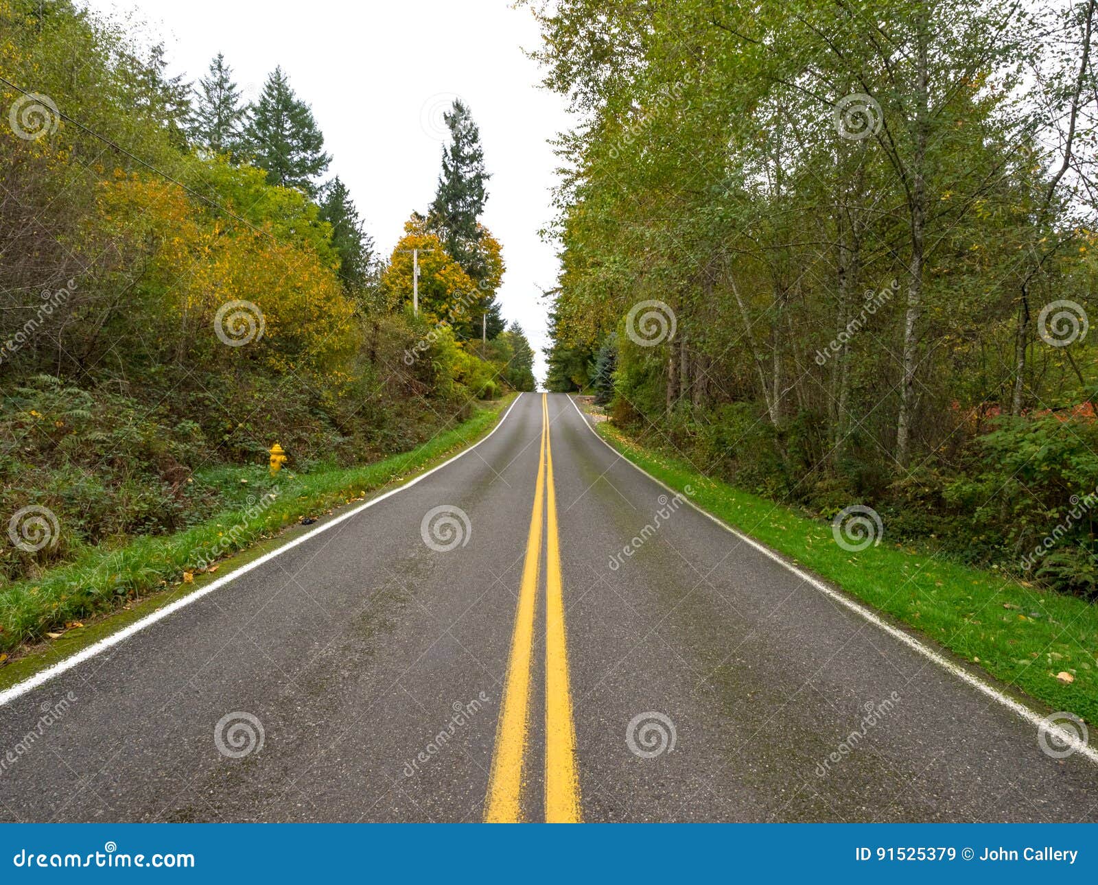 Lonely Road stock image. Image of country, lane, highway - 91525379