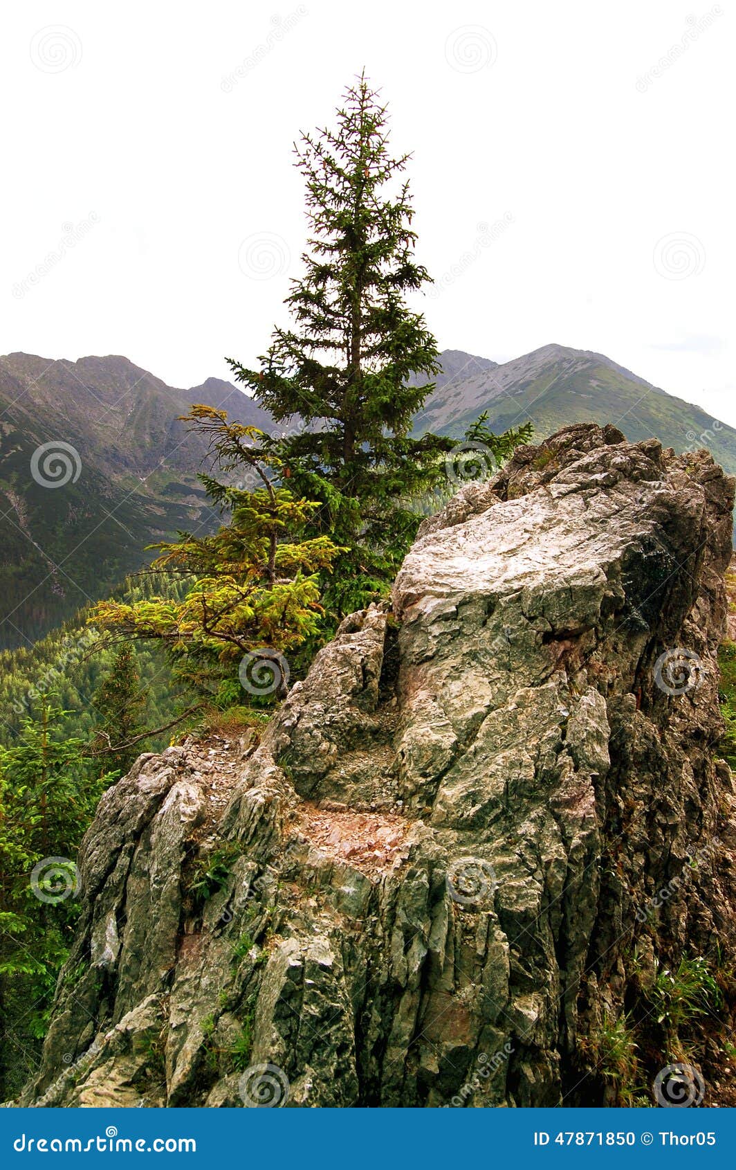 Lonely Rock in the Mountainside Stock Photo - Image of lighted, middle ...